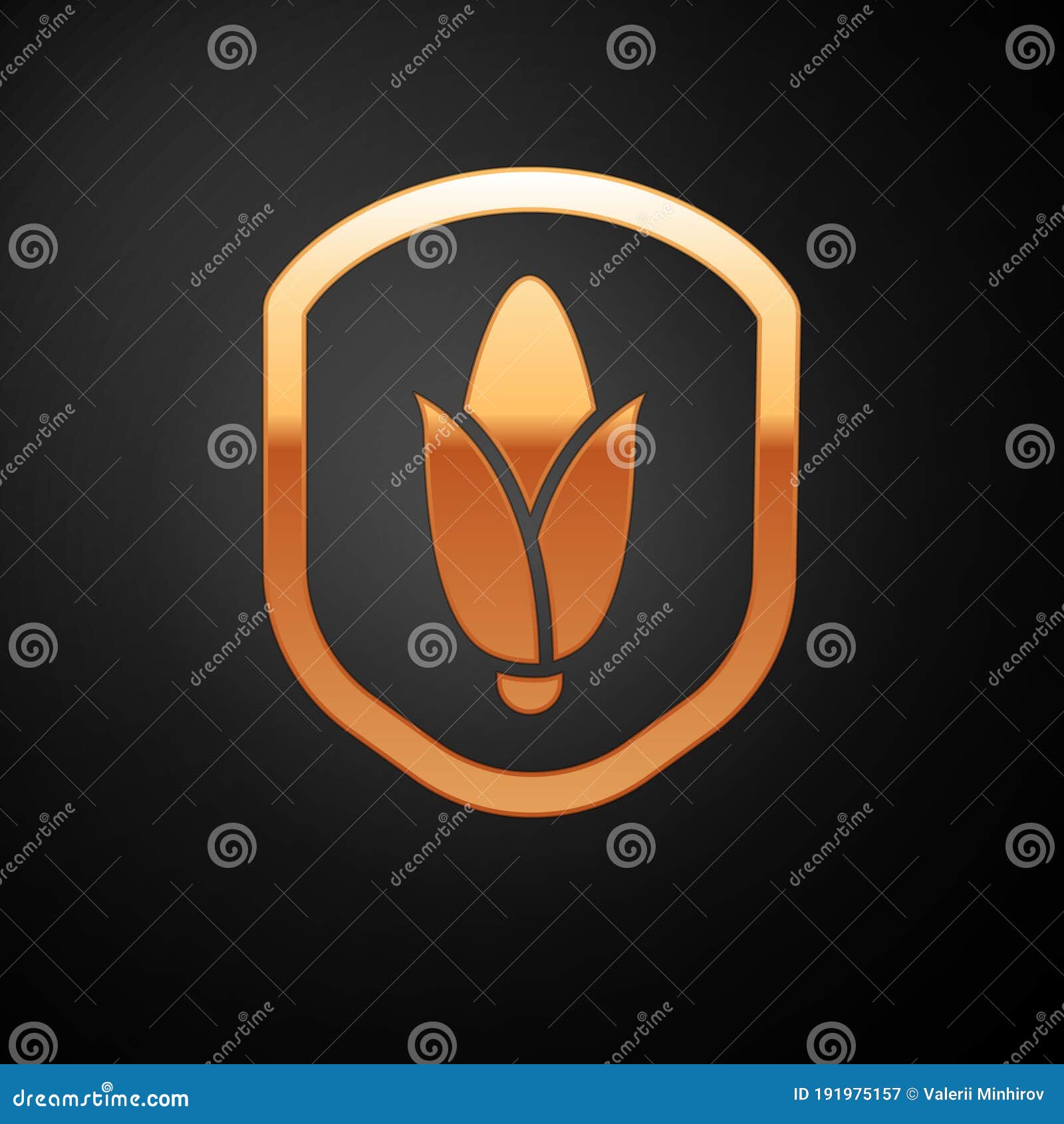 Gold Shield Corn Icon Isolated on Black Background. Security, Safety ...