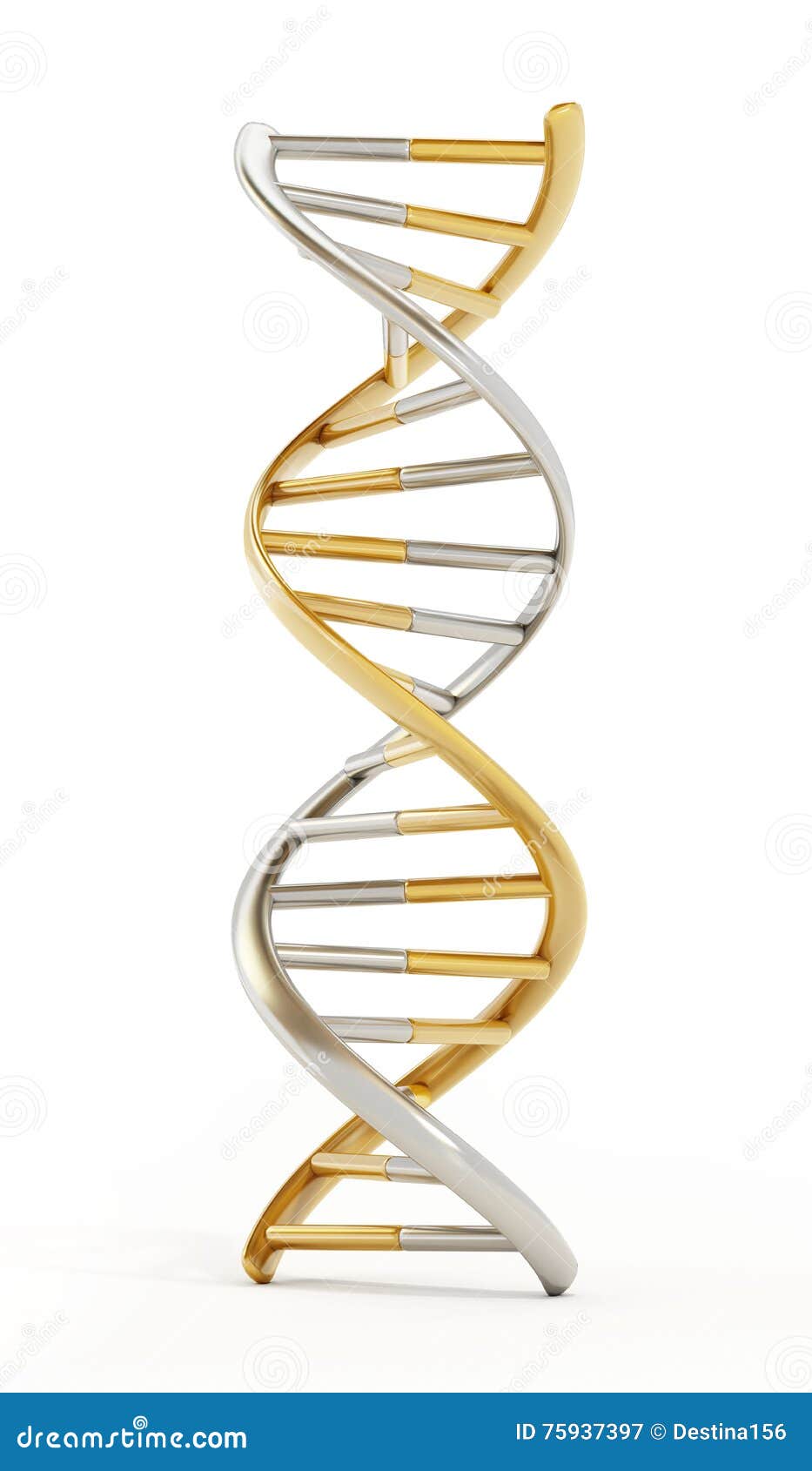 Gold and Silver Colored Dna Helix. 3D Illustration Stock Illustration ...