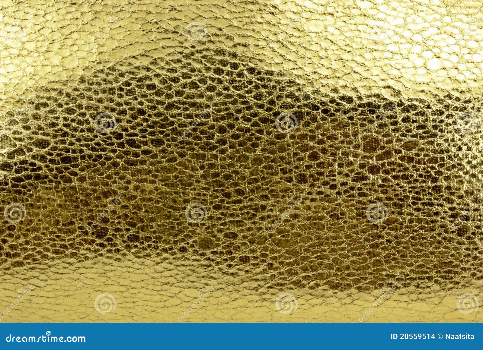 Gold skin stock photo. Image of small, natural, nature - 20559514