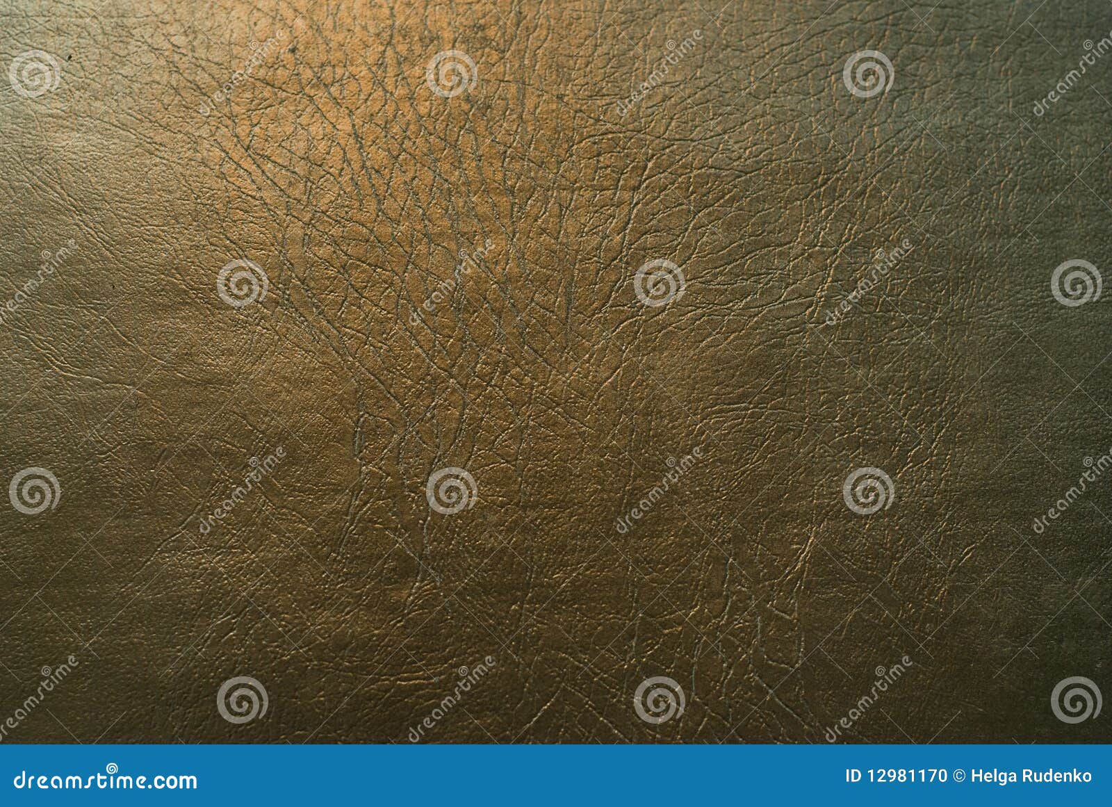 Gold skin background stock photo. Image of green, fashion - 12981170