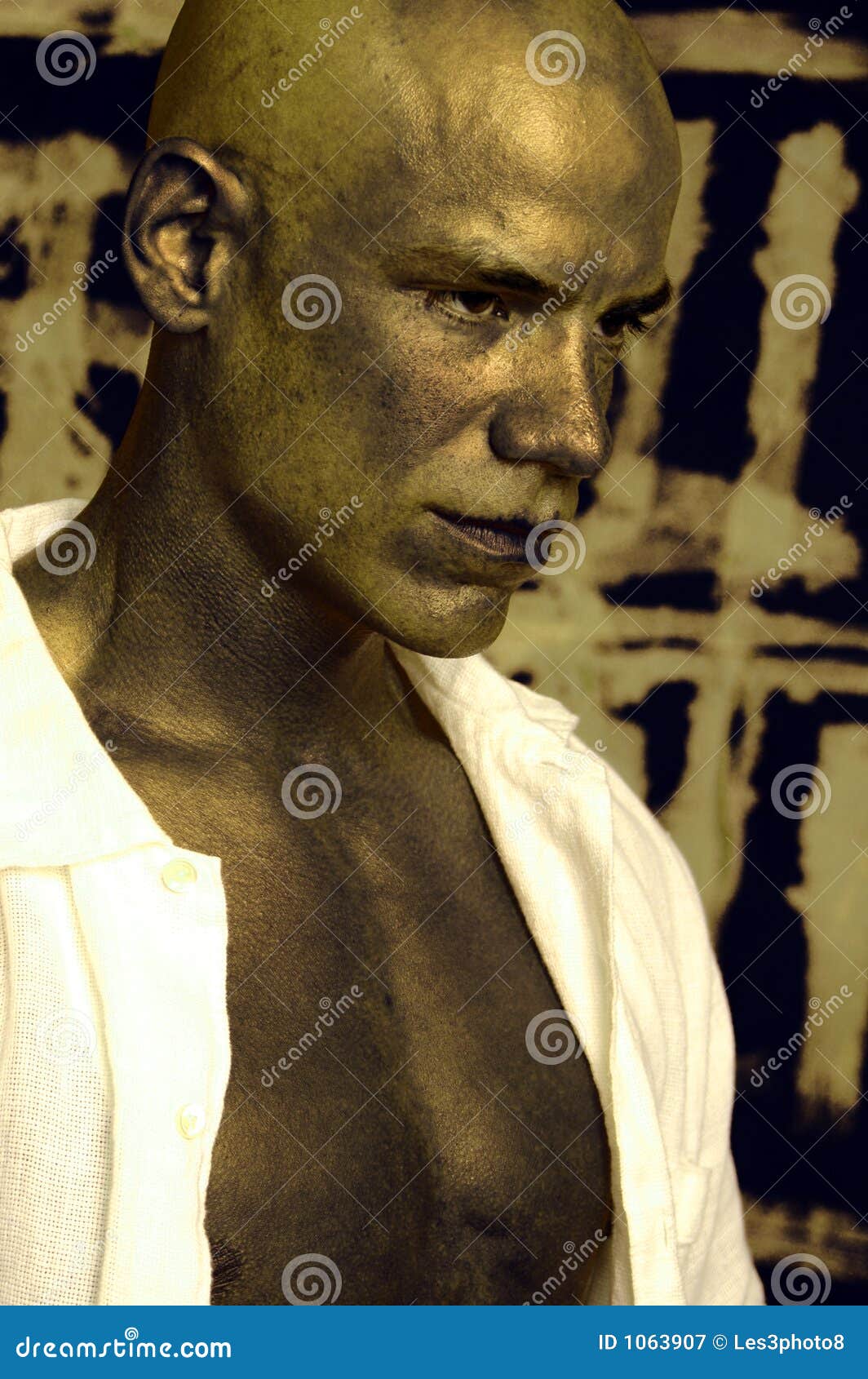 Gold skin head stock image. Image of skin, anger, portrait - 1063907