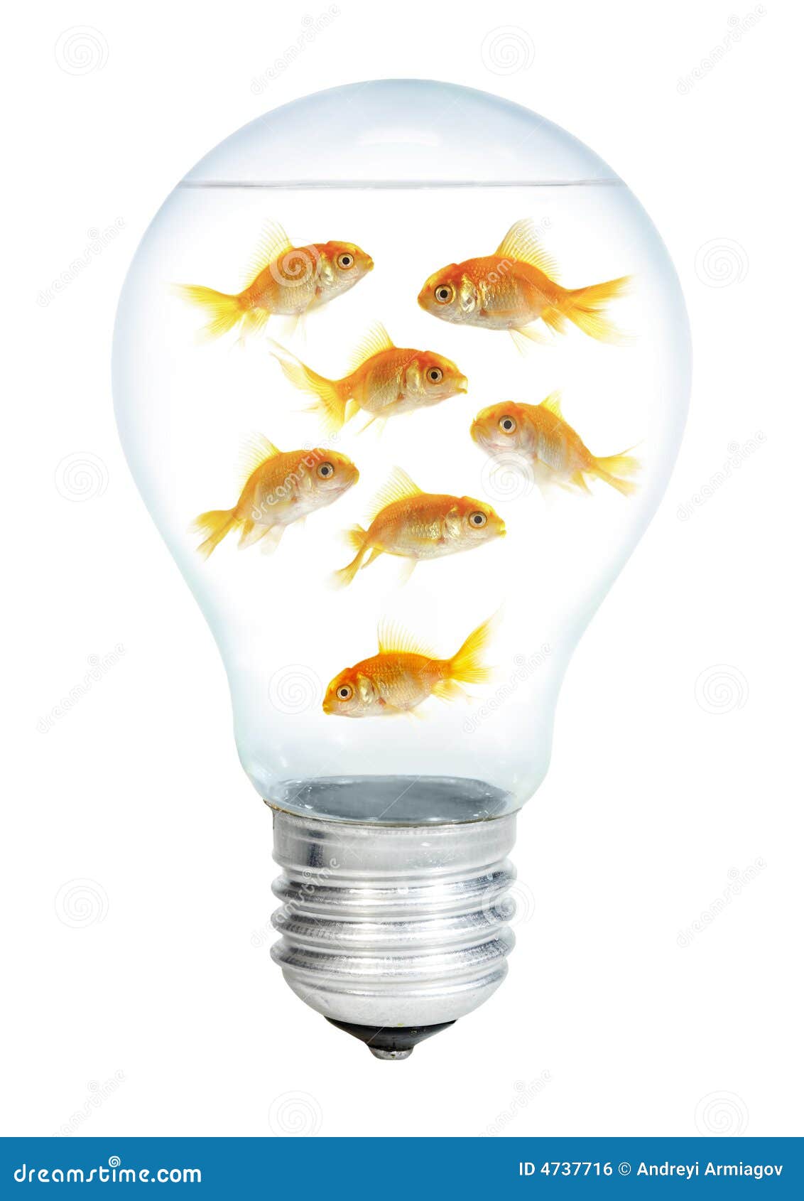504 Fish Light Bulb Stock Photos - Free & Royalty-Free Stock Photos ...