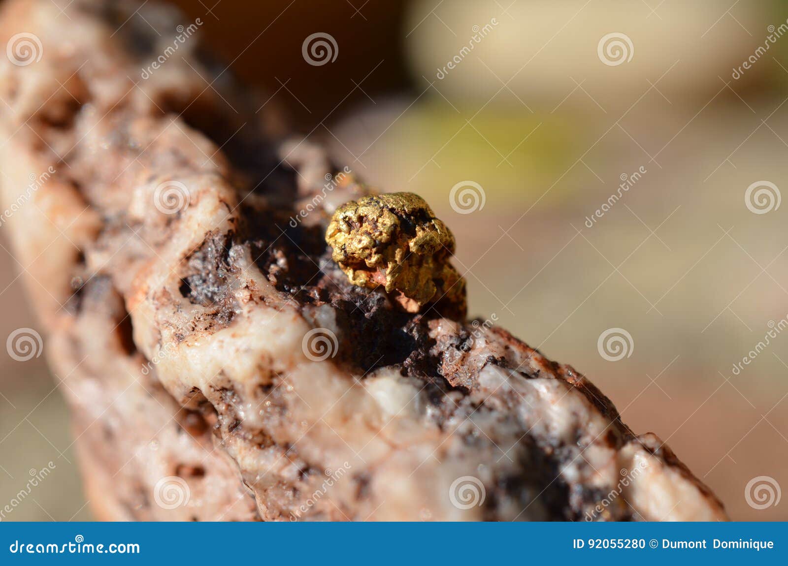 Gold specimen stock photo. Image of australian, rare - 92055280