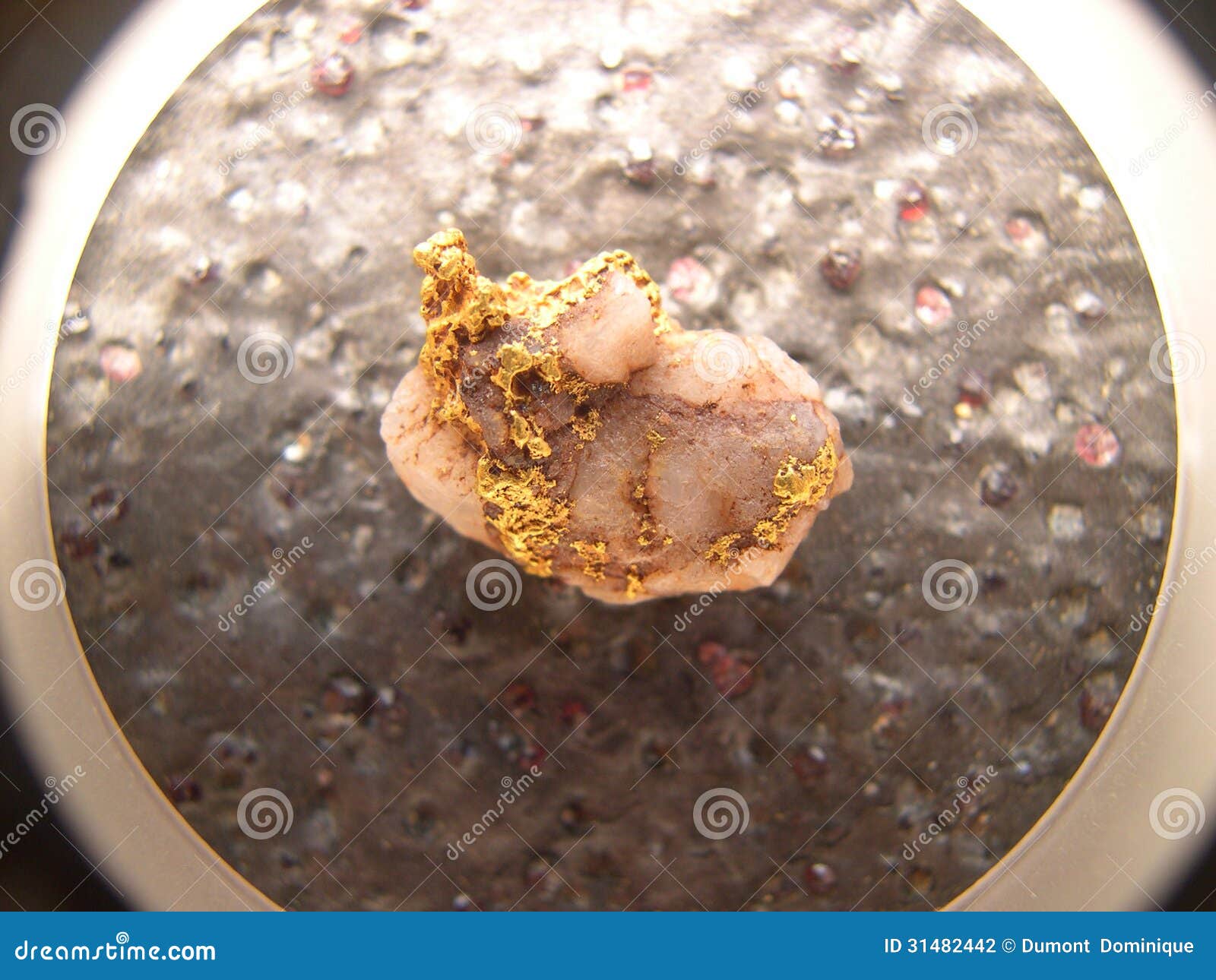 Gold specimen stock photo. Image of yellow, quartz, rock - 31482442