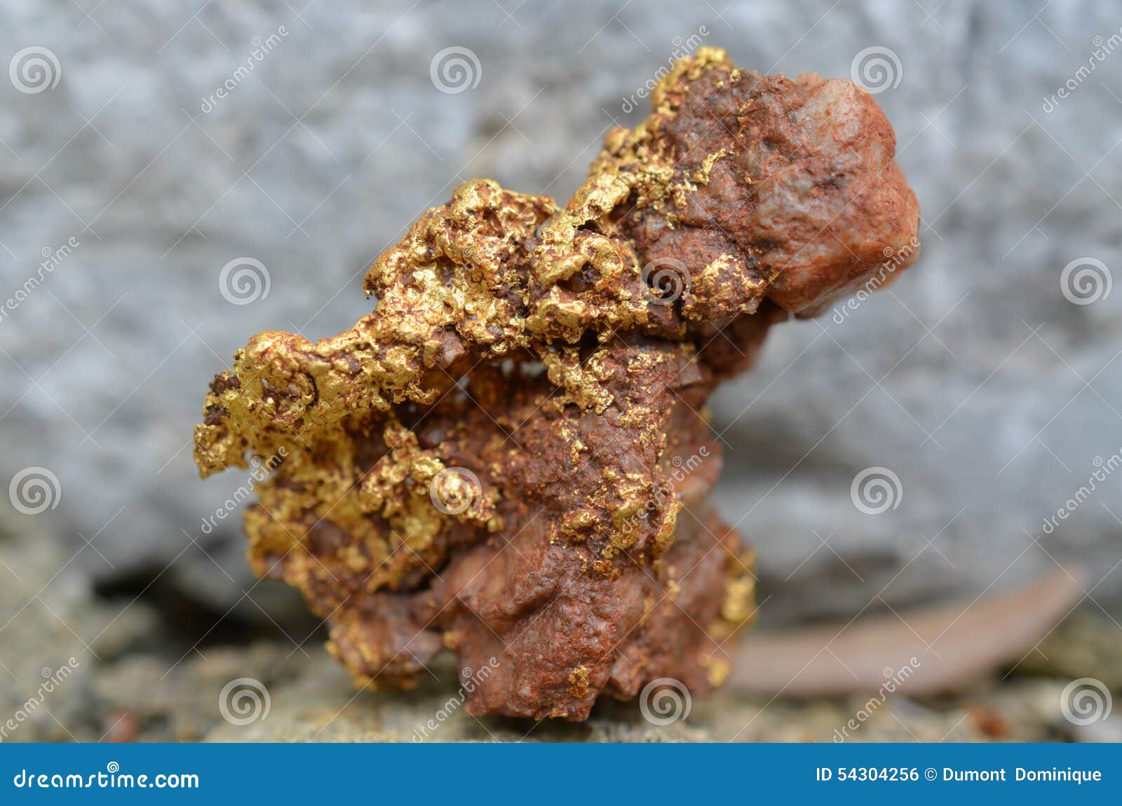 Gold specimen stock photo. Image of metal, quartz, rock - 54304256