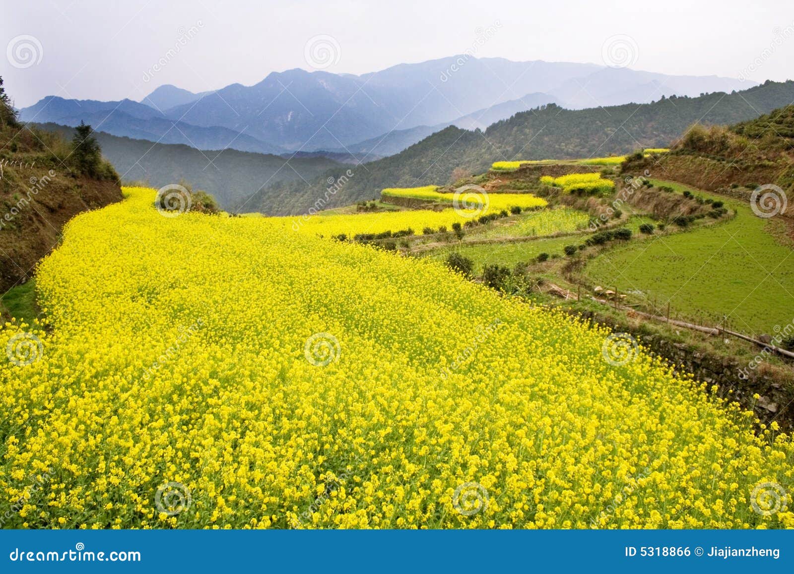 Gold spring stock photo. Image of chinese, hill, beautiful - 5318866