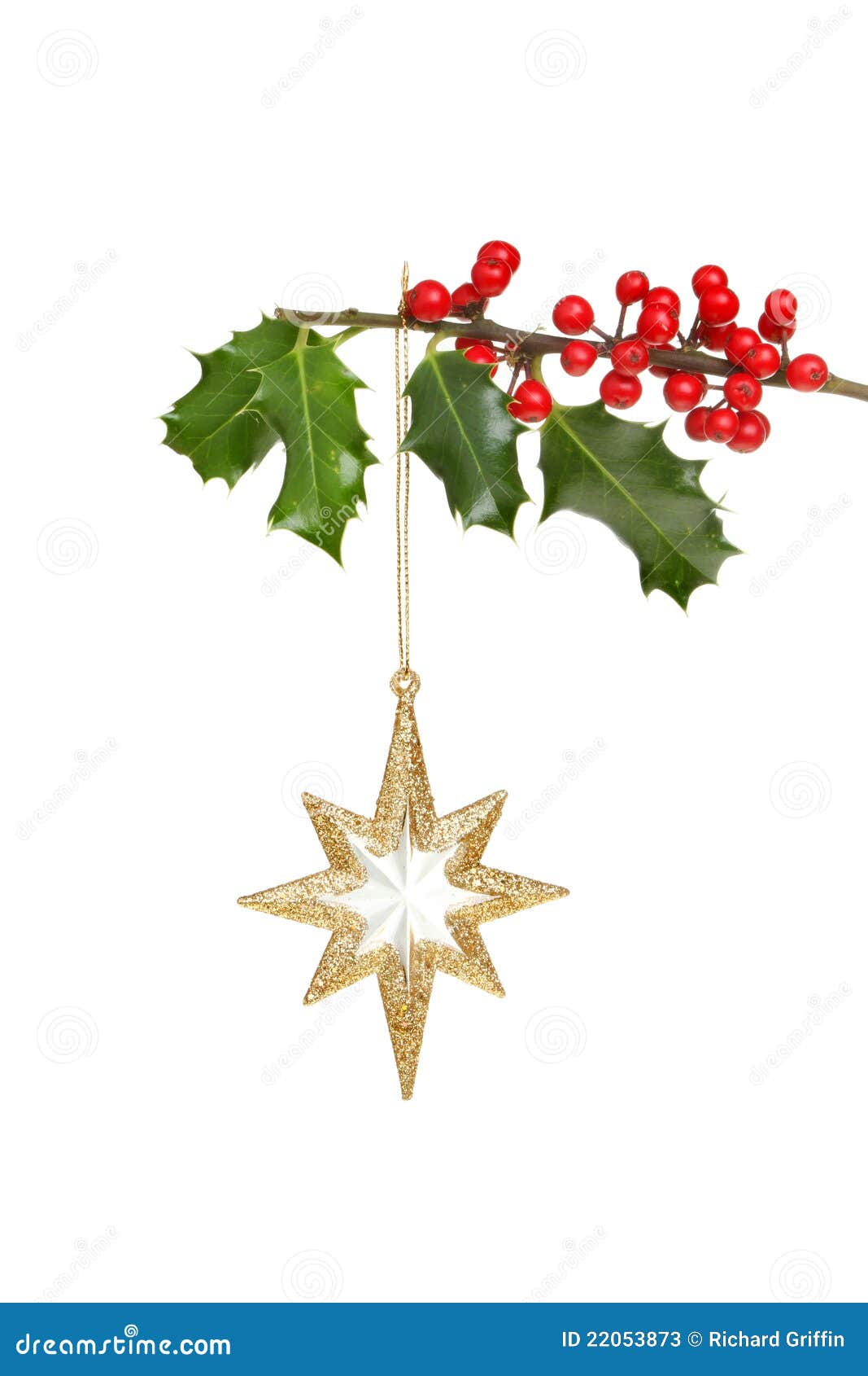 Gold star and holly stock image. Image of decoration - 22053873
