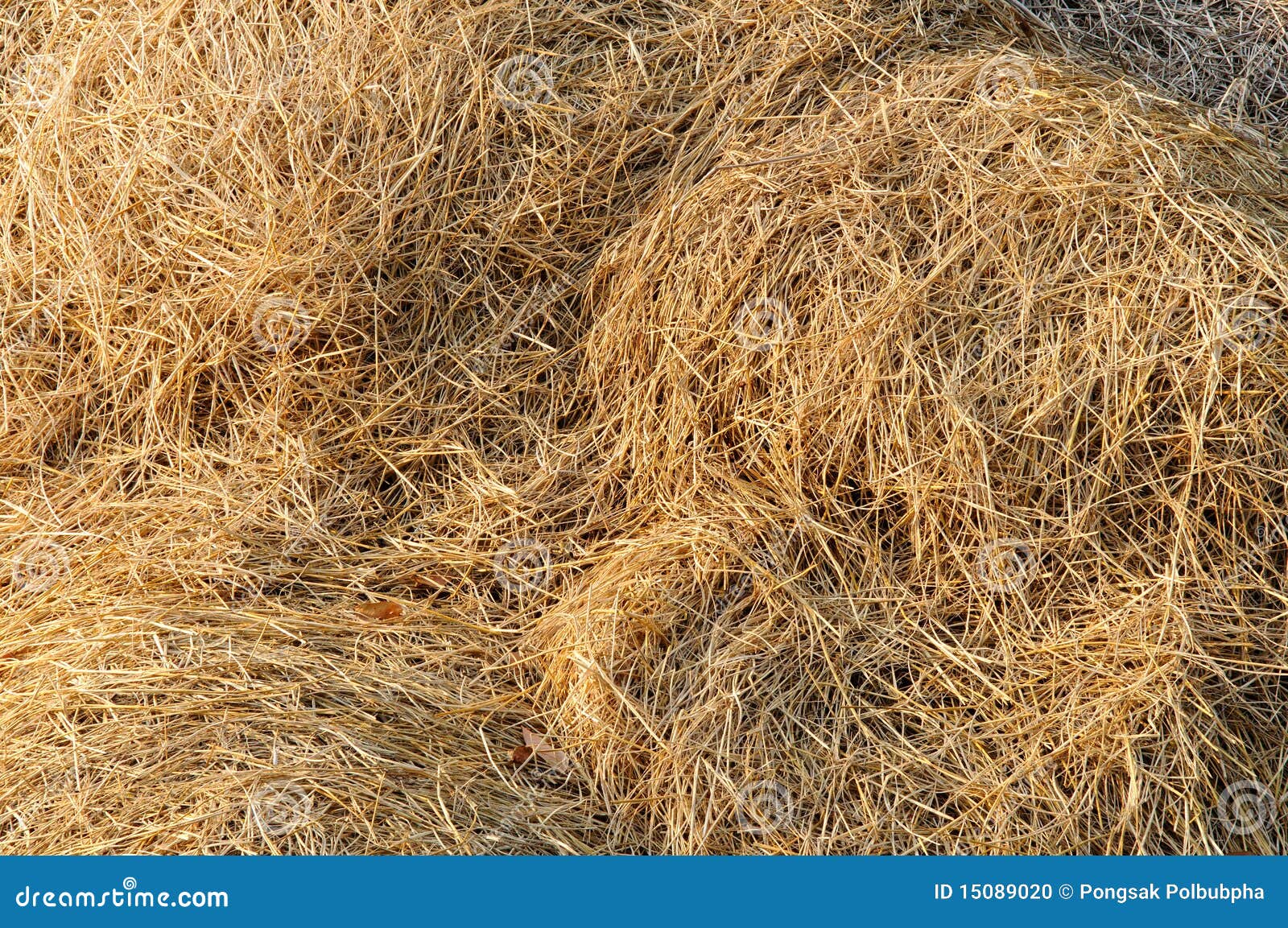 The gold straw stock photo. Image of abstract, grunge - 15089020