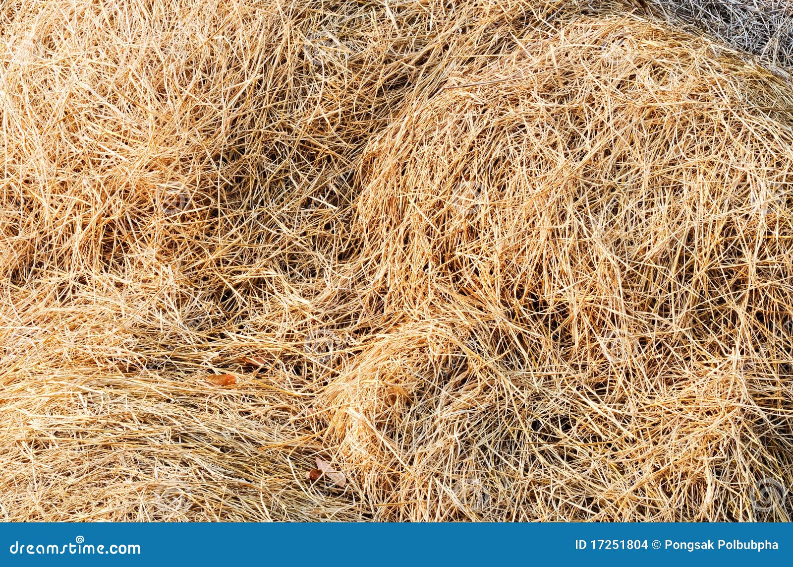 Gold straw stock photo. Image of life, farm, agriculture - 17251804