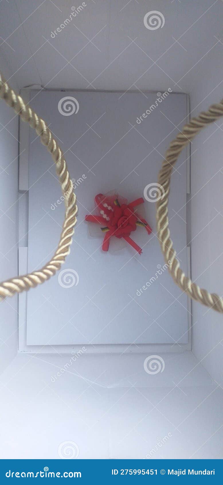Gold String Decoration & Flower Shape Ribbon Stock Image - Image of ...