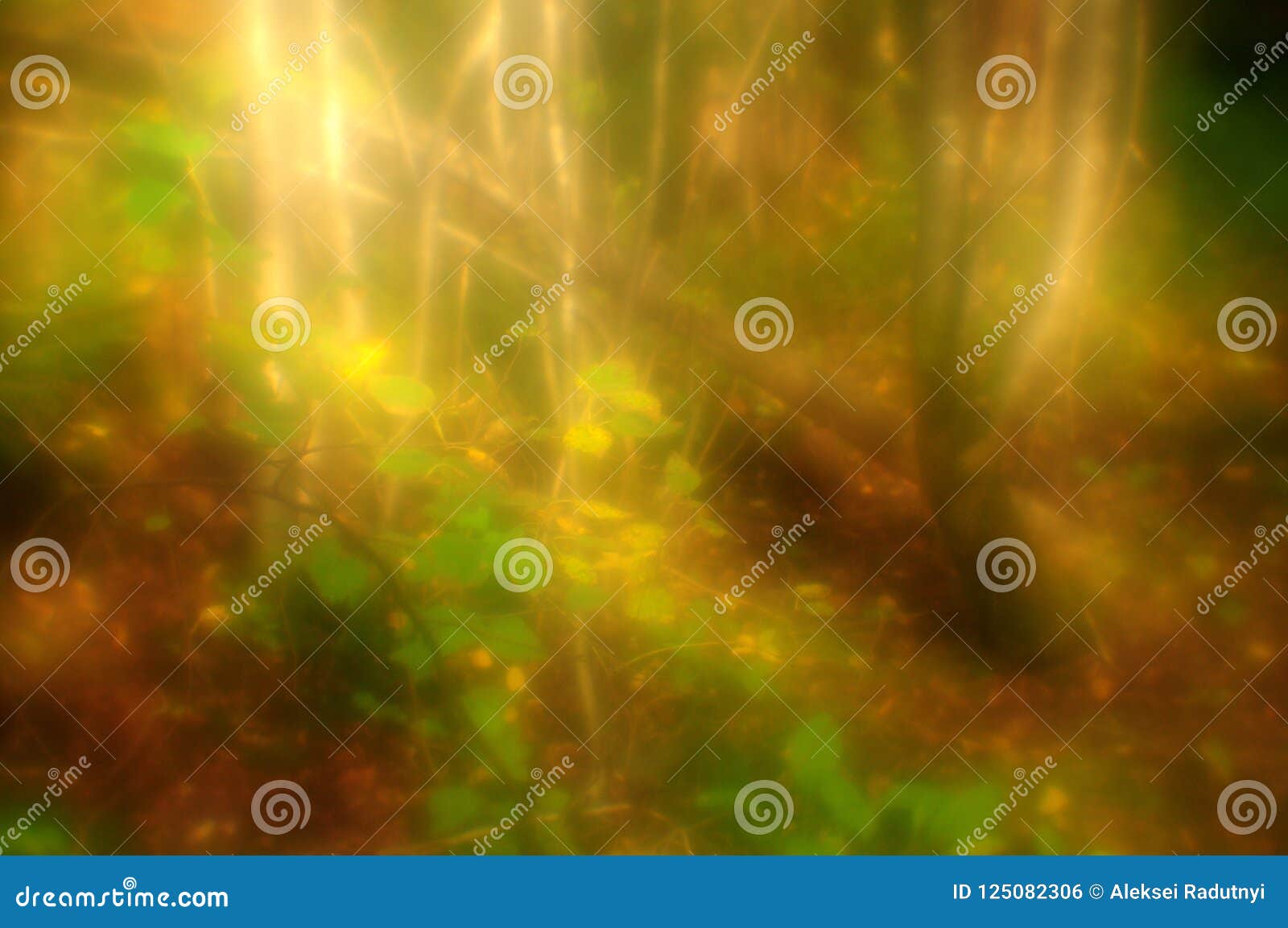 Gold of the Sun in the Magic Forest Stock Photo - Image of effects ...