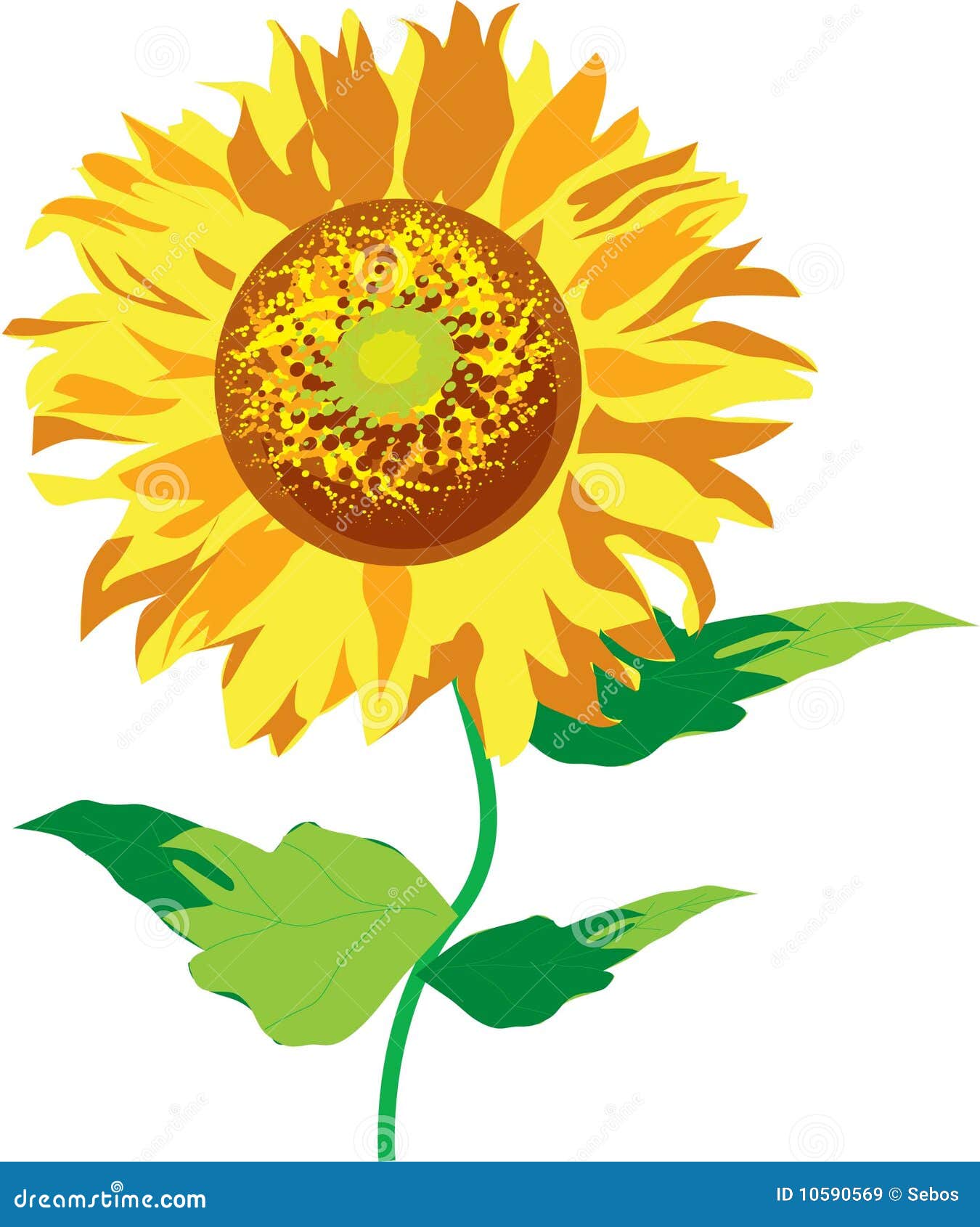 Gold sunflower stock vector. Illustration of nature, spring - 10590569