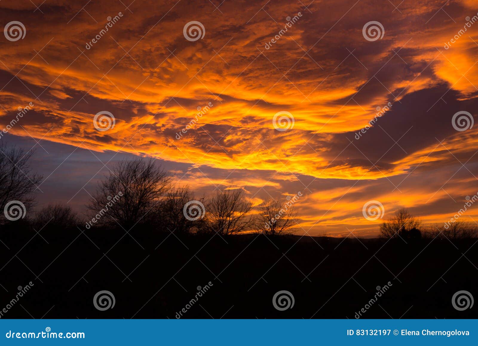 The gold sunset. stock image. Image of floccus, highly - 83132197