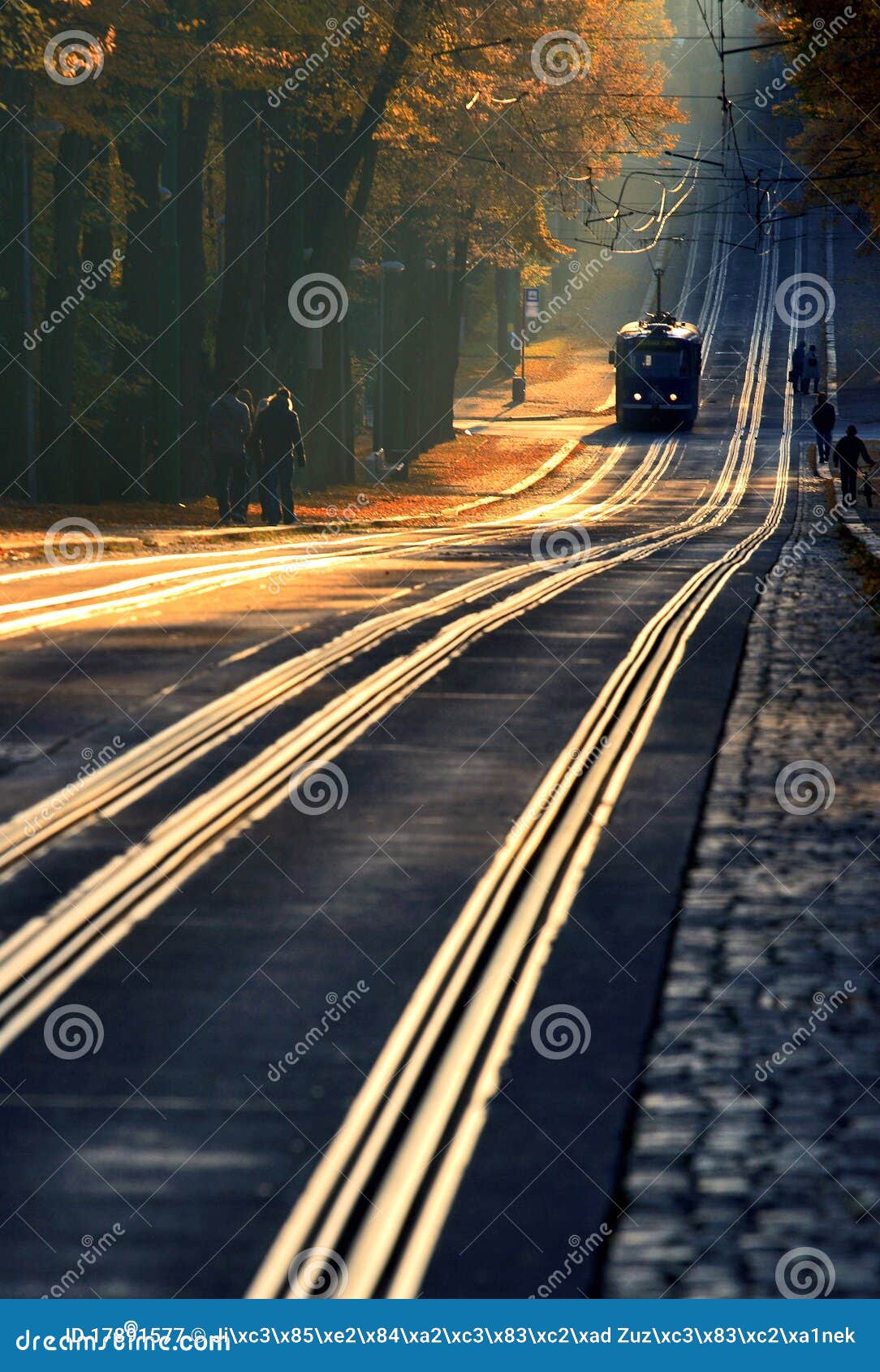 Gold tram tracks stock image. Image of transportation - 17891577