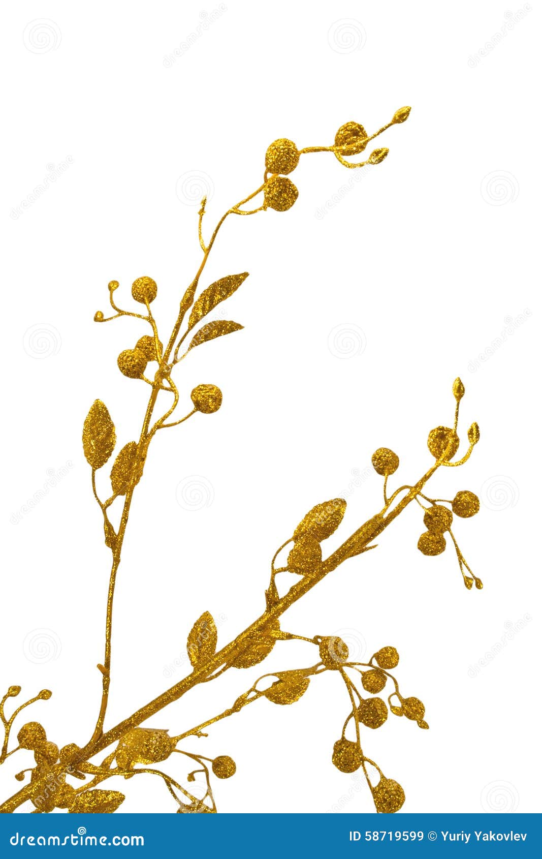 Gold tree branch stock image. Image of leaf, bright, tree - 58719599