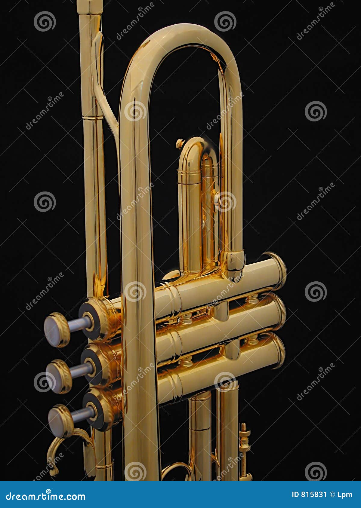 Gold Trumpet Standing stock image. Image of trumpet, buttons - 815831