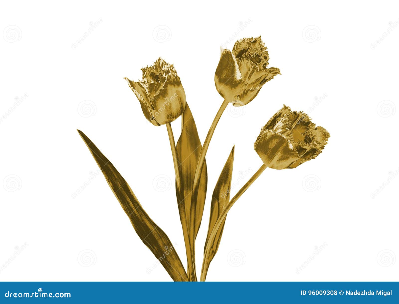 Gold tulips stock illustration. Illustration of beauty - 96009308