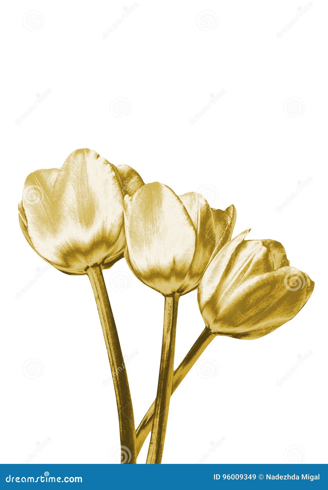 Gold tulips stock illustration. Illustration of flower - 96009349
