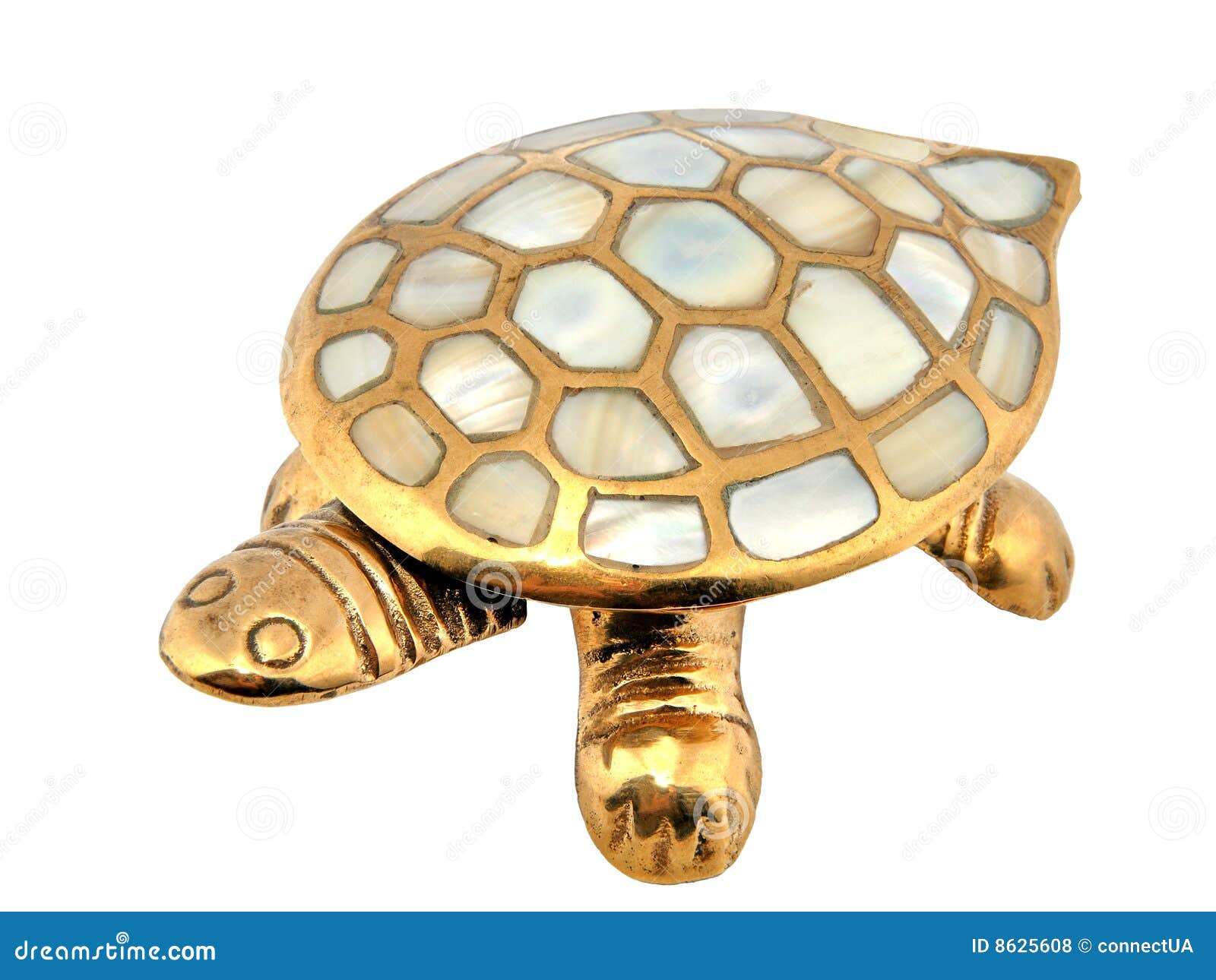 Gold turtle stock photo. Image of elegans, jewel, concepts - 8625608