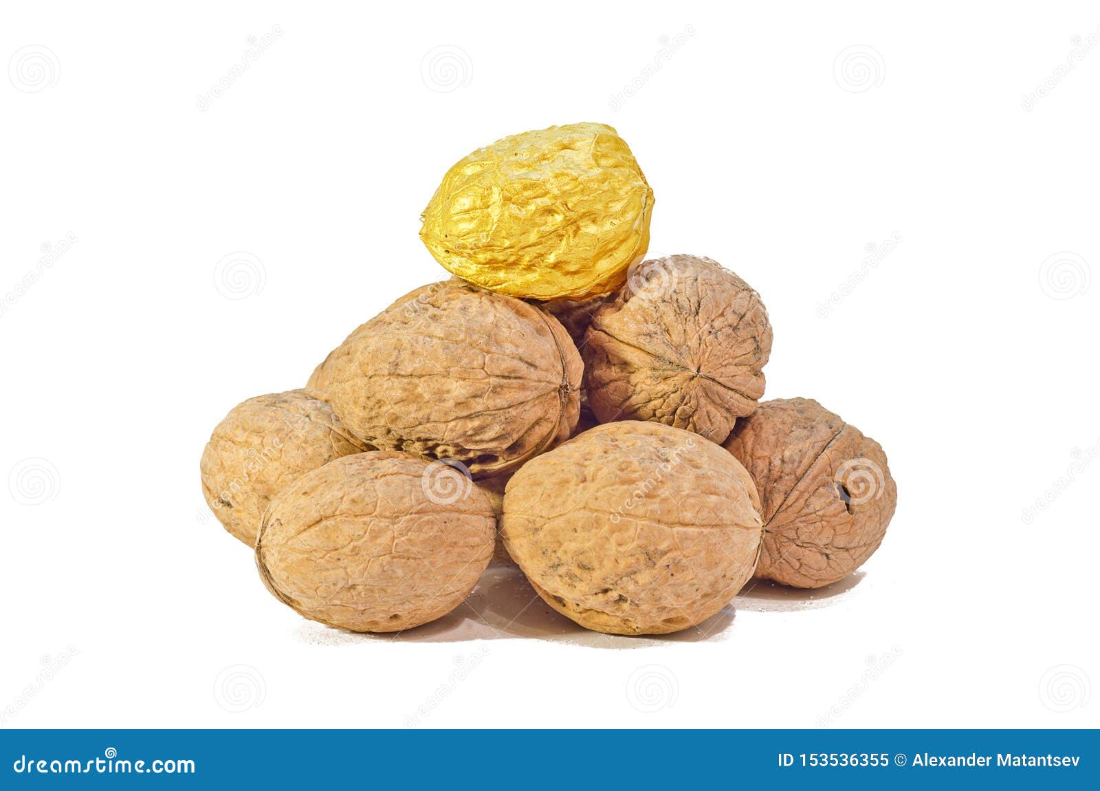 Gold Walnut among of Usual Walnuts Stock Image - Image of idea, solve ...