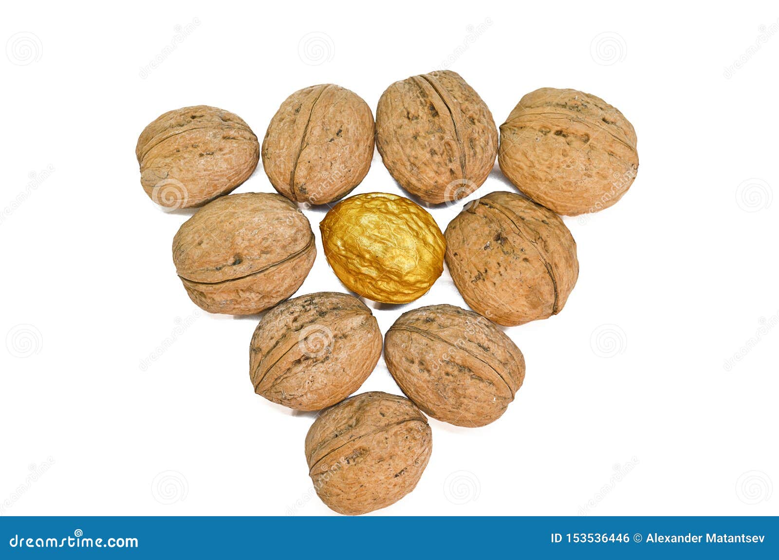 Gold Walnut among of Usual Walnuts Stock Photo - Image of fracture ...