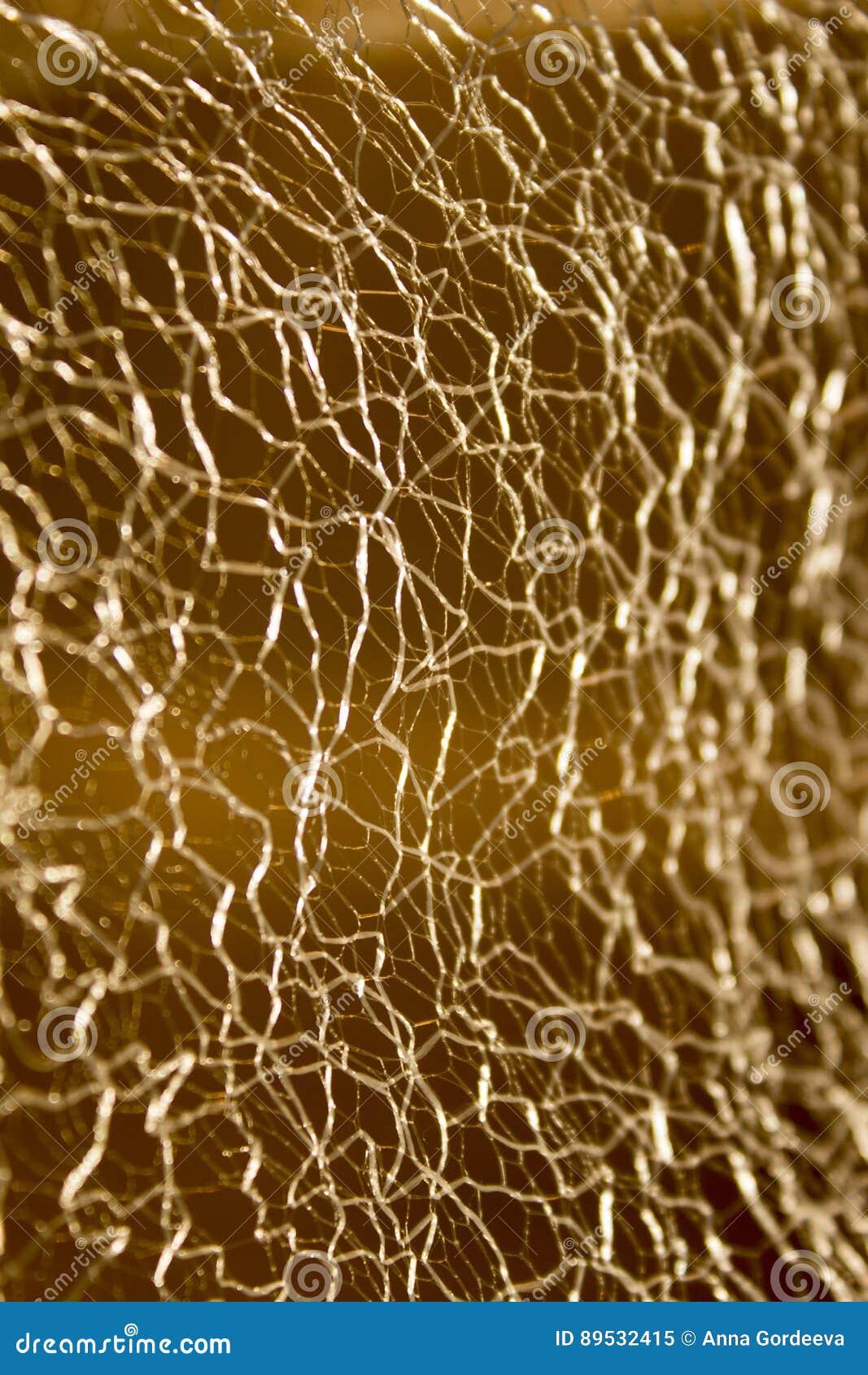 Gold web stock image. Image of beautiful, lace, crystal - 89532415
