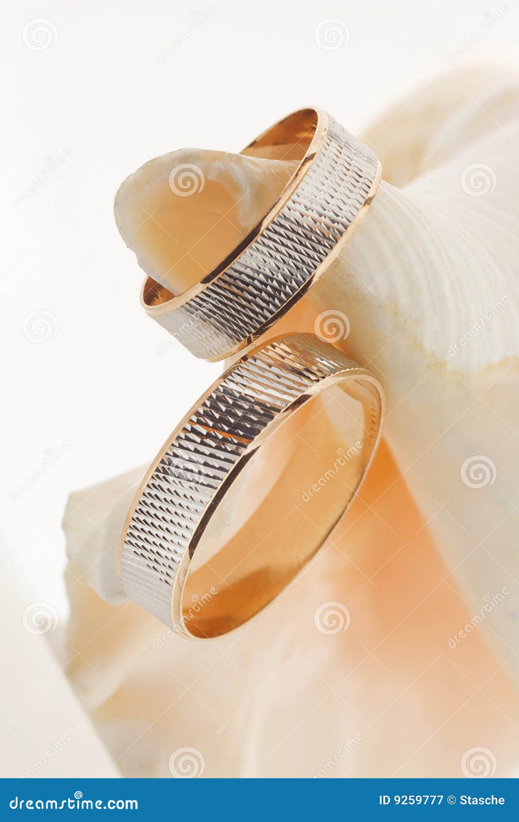 Two Gold Wedding Rings on a Sea Shell Stock Image - Image of macro ...