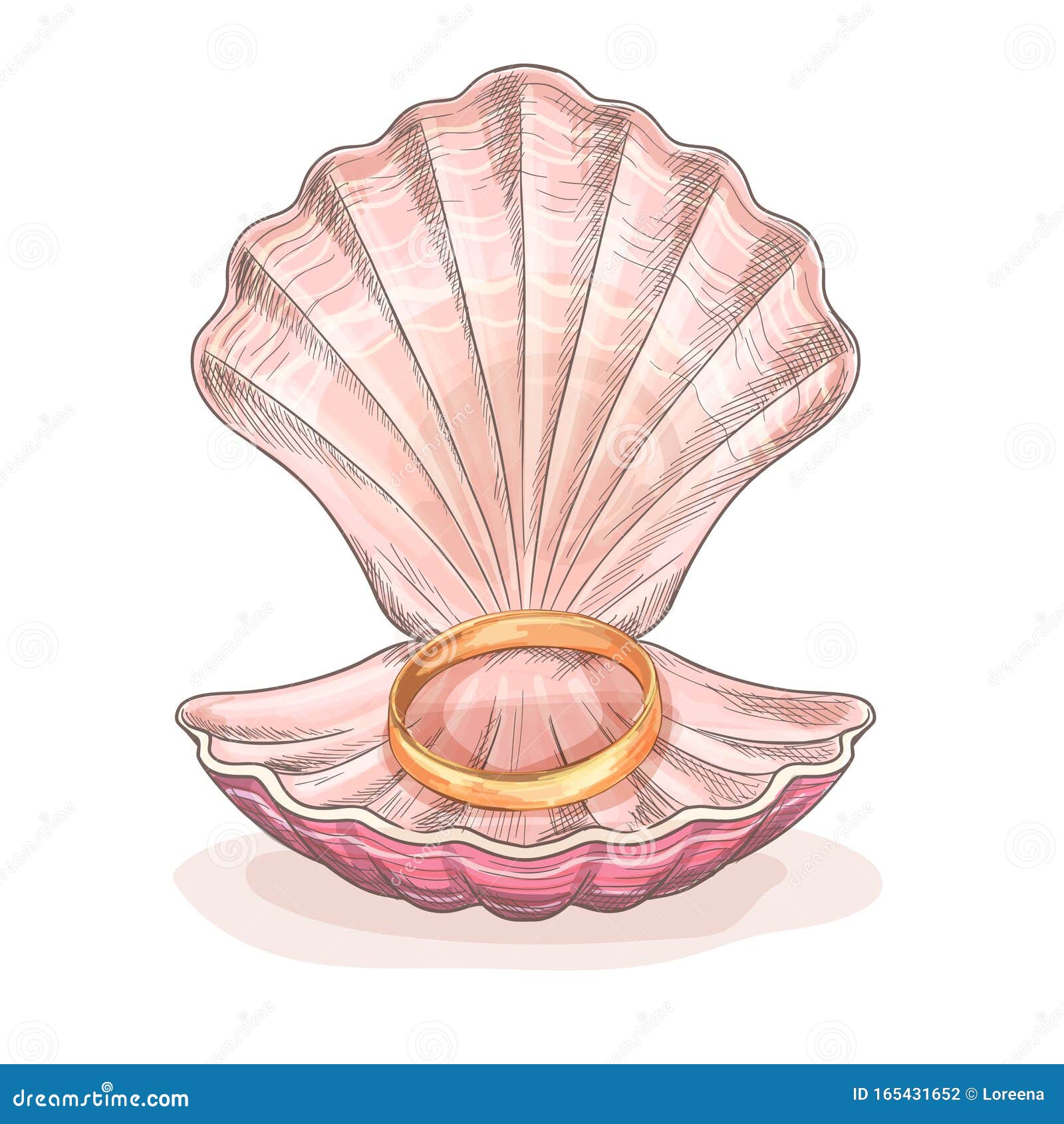 Gold Seashell Vector Graphics, Pearl Bivalved Mollusks Illustration ...