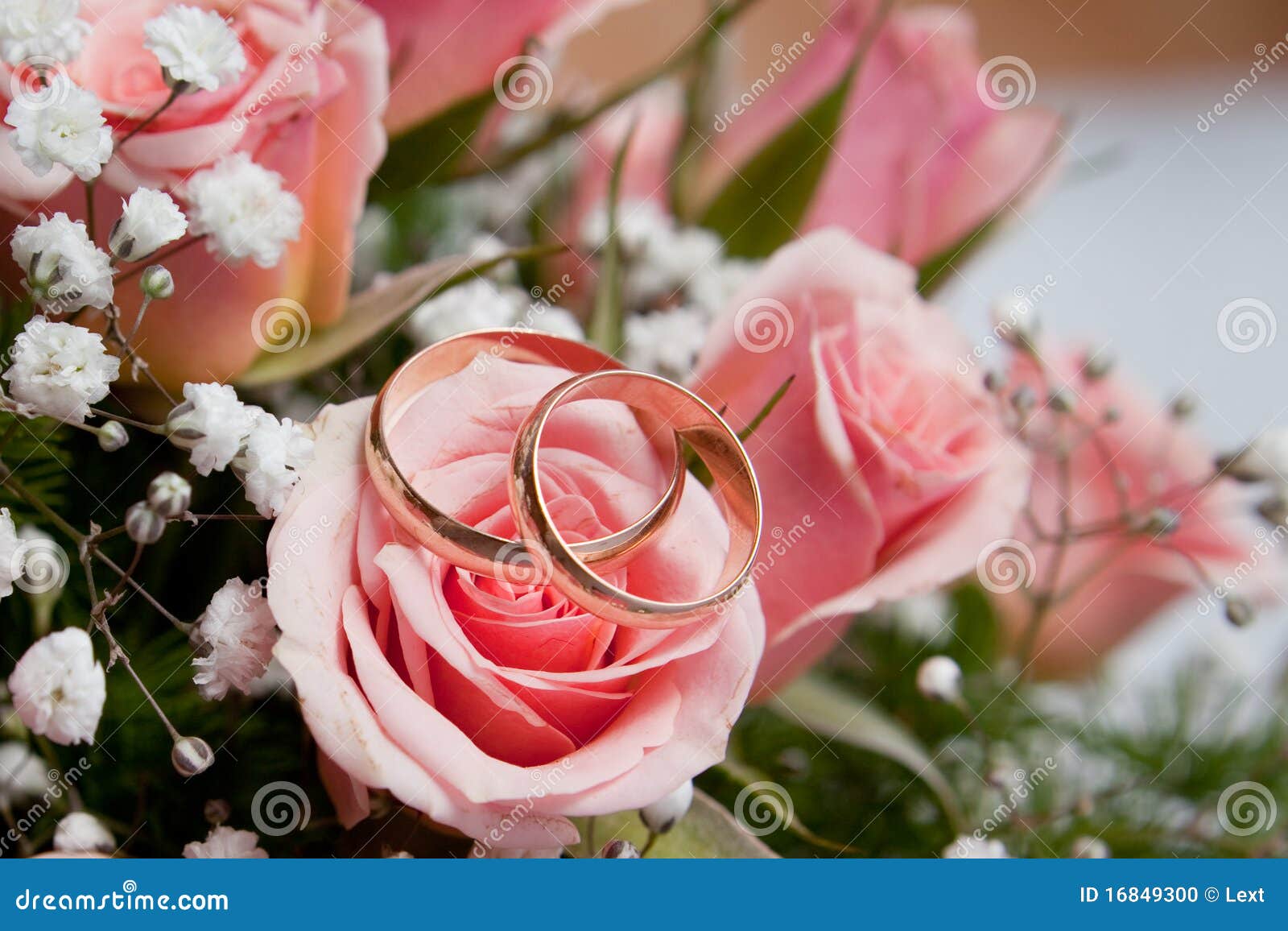 Gold Wedding Rings on Colors Stock Photo - Image of horizontal ...