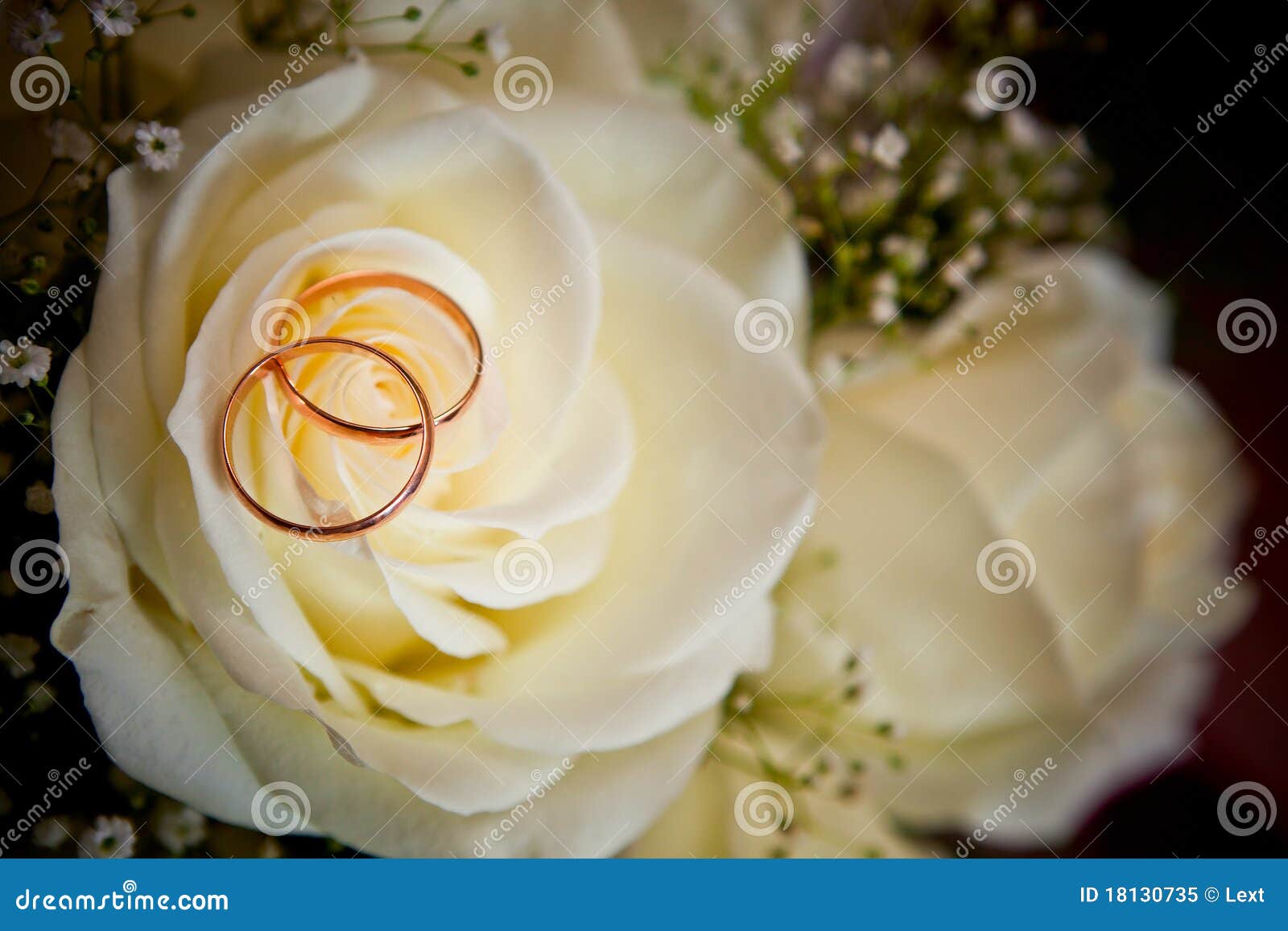 Gold Wedding Rings on Colors Stock Image - Image of objects, happiness ...