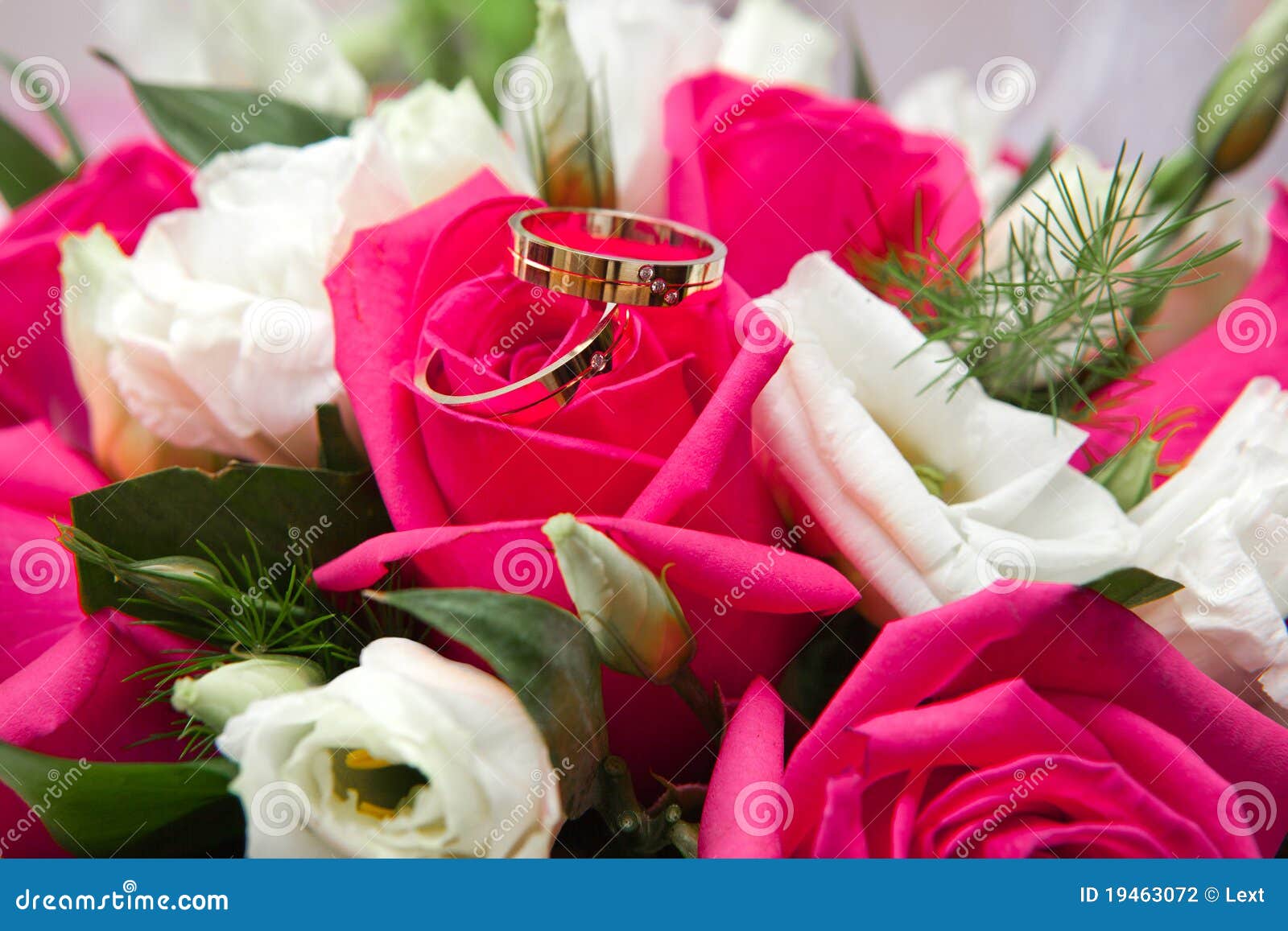 Gold Wedding Rings on Colors Stock Photo - Image of horizontal ...