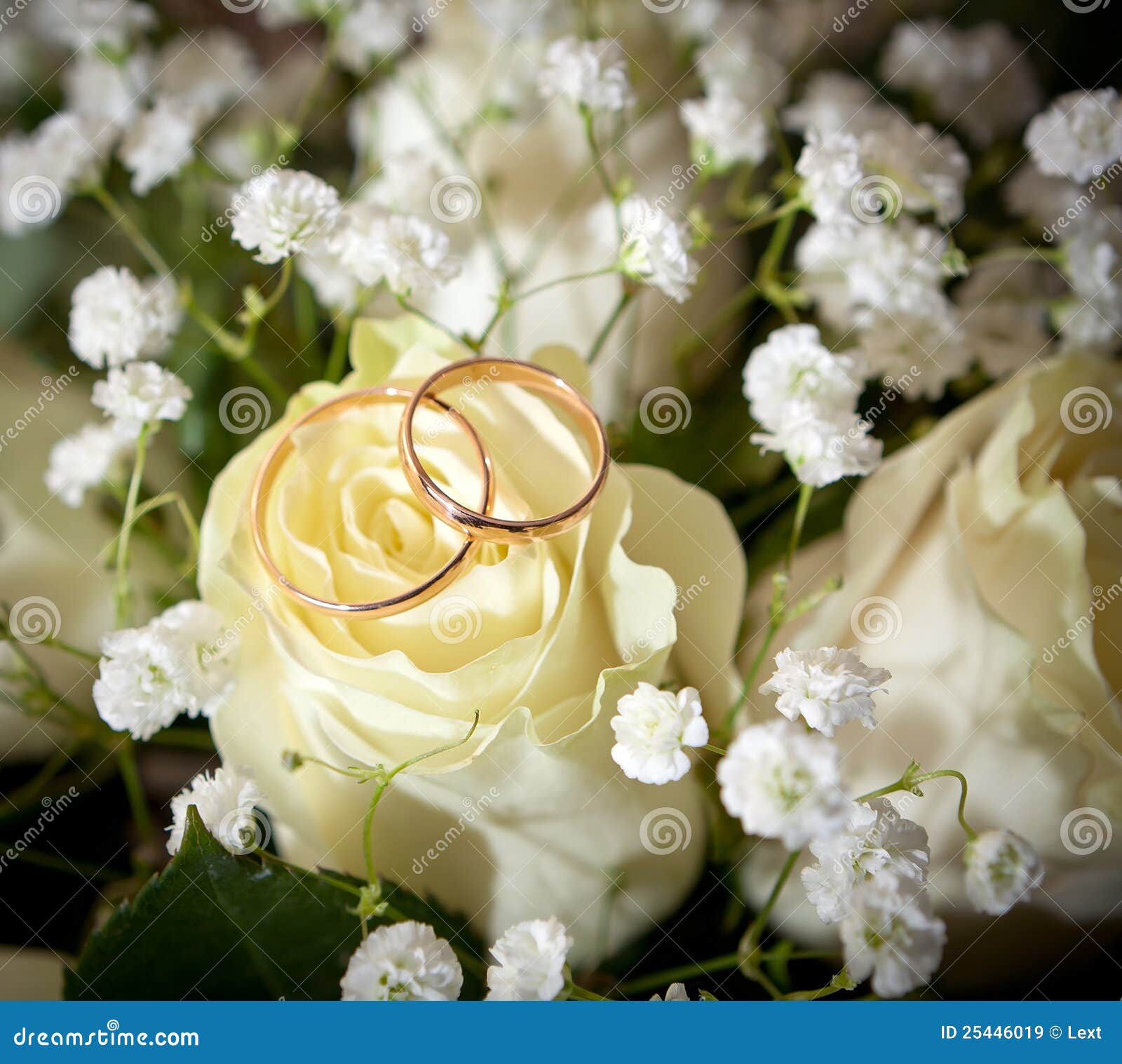 Gold Wedding Rings of the Groom and the Bride Stock Image - Image of ...