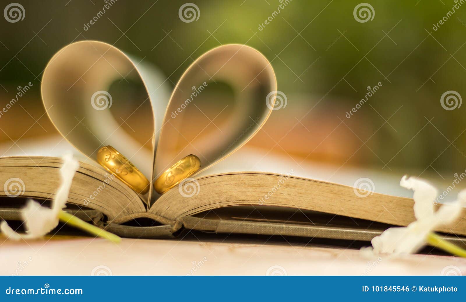 Gold Wedding Rings, Heart Book, Background Blur Stock Photo - Image of ...