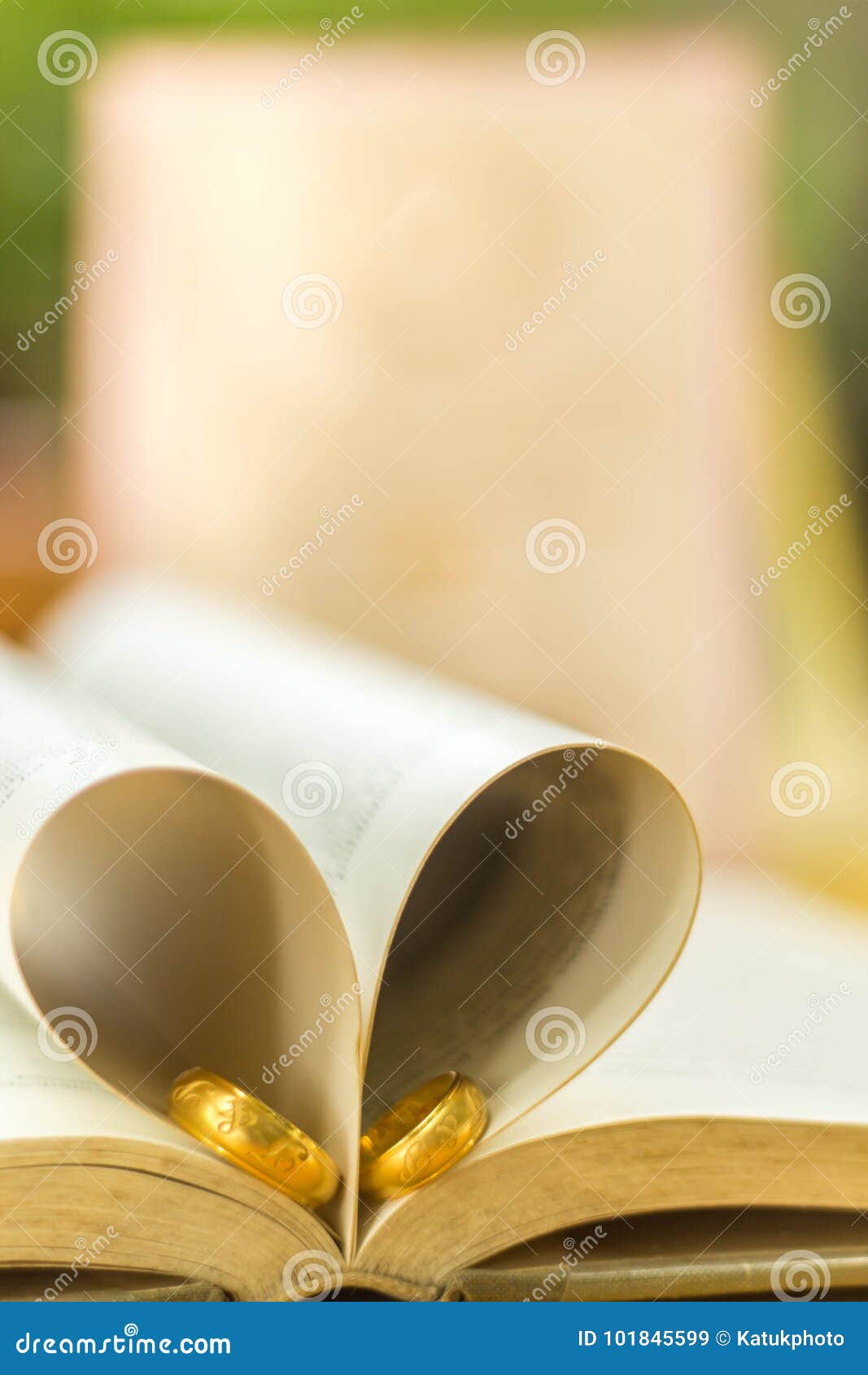 Gold Wedding Rings, Heart Book, Background Blur Stock Image - Image of ...