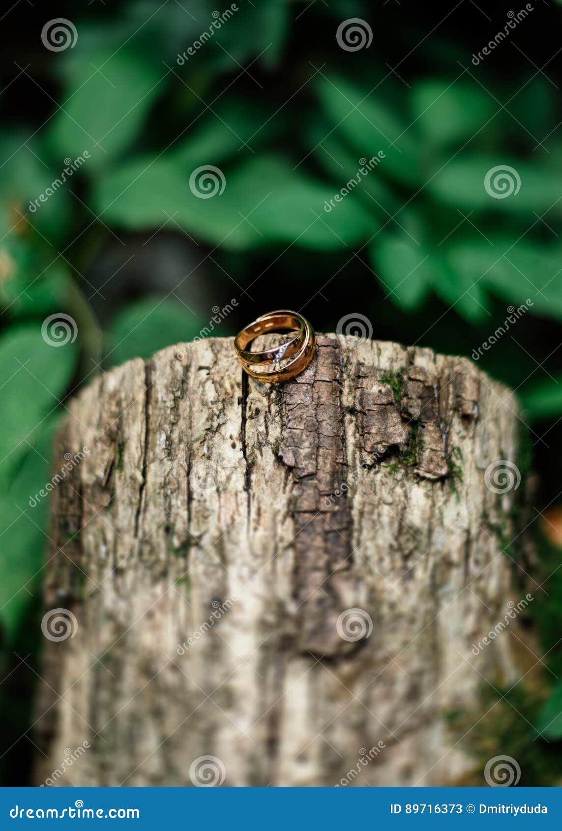 Gold Wedding Rings on Log with Moss Stock Image - Image of circle ...