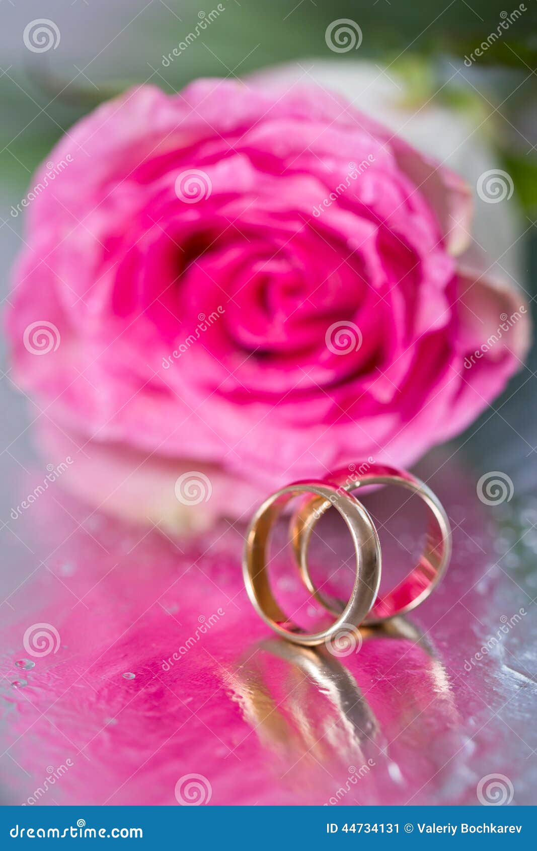 Gold Wedding Rings and Rose Stock Image - Image of hearts, decoration ...