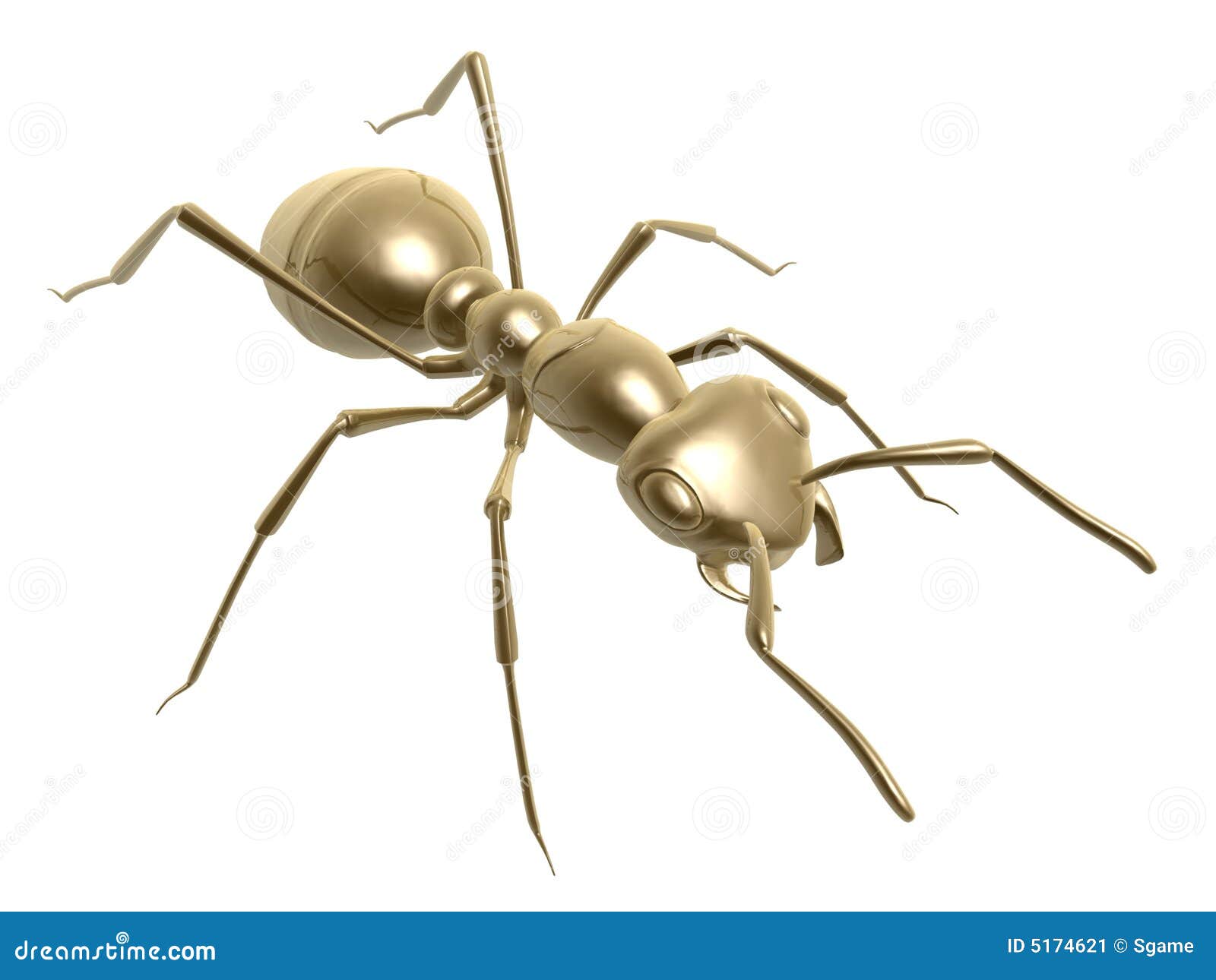 Golden ant stock illustration. Illustration of life, invertebrate - 5174621