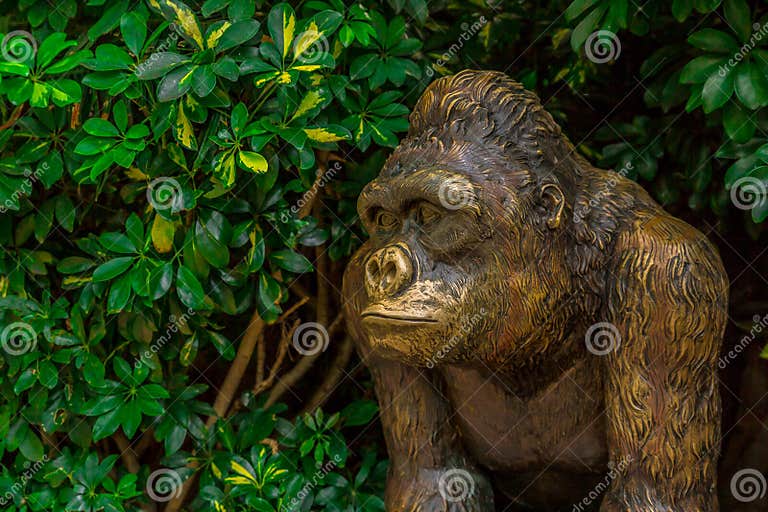 Golden Ape Statue stock image. Image of bronze, park - 37684187