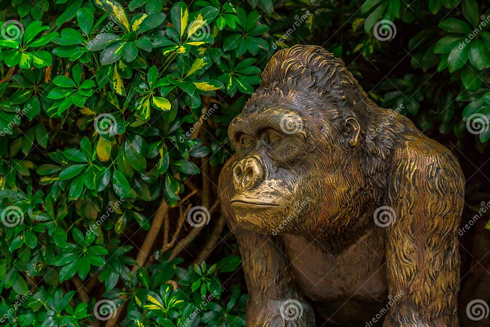 Golden Ape Statue stock image. Image of bronze, park - 37684187