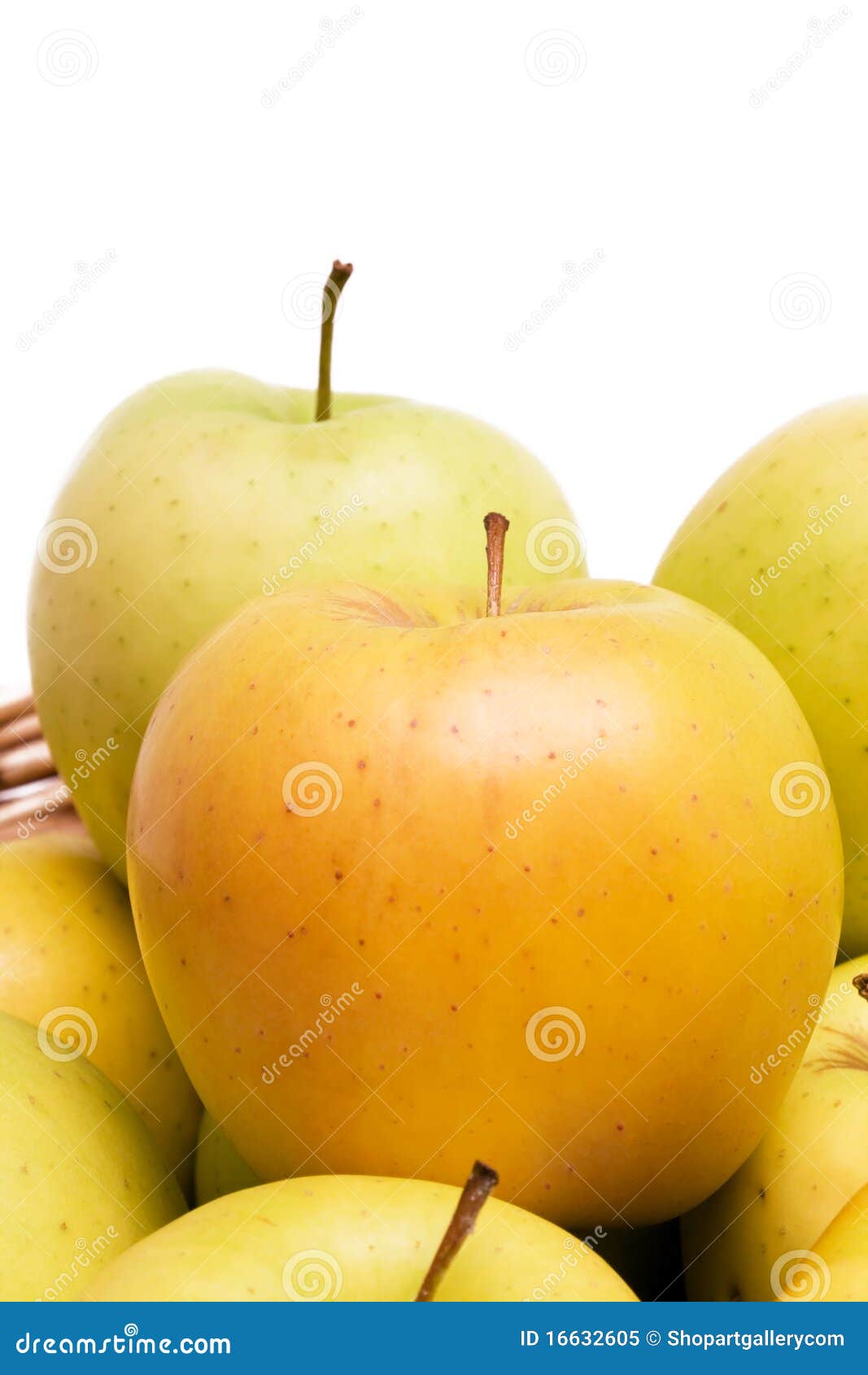 Golden Apples Closeup stock image. Image of yellow, food - 16632605