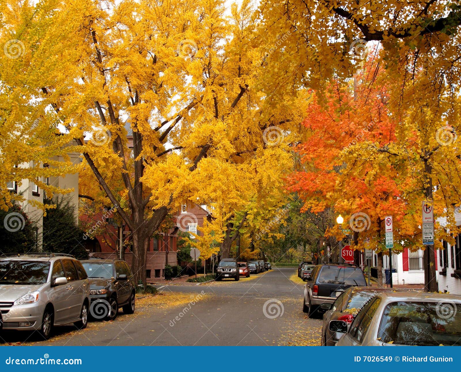 Golden Autumn in Georgetown Stock Image - Image of leaves, street: 7026549