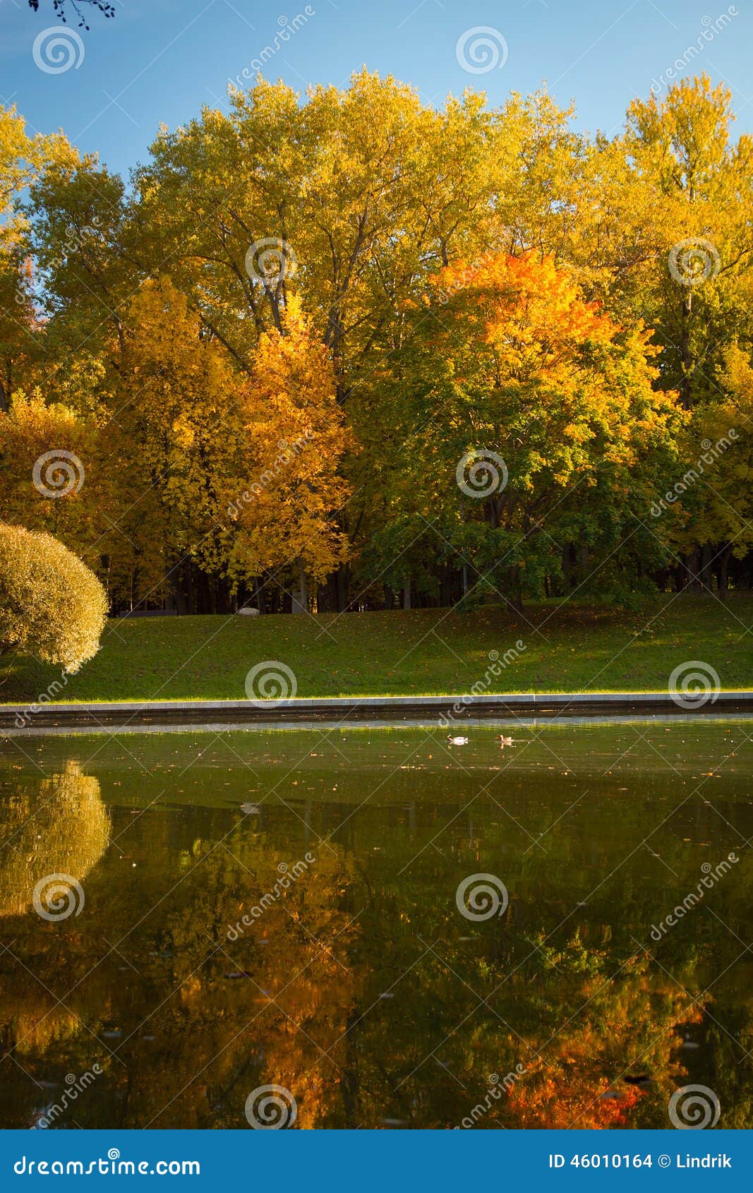 Golden autumn on the lake. stock photo. Image of harmony - 46010164