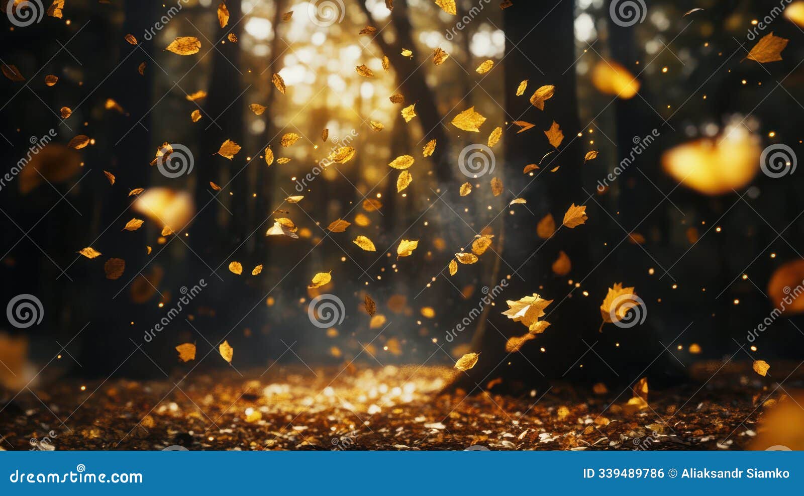 Golden Autumn Leaves Falling from Trees in a Peaceful Forest Stock ...