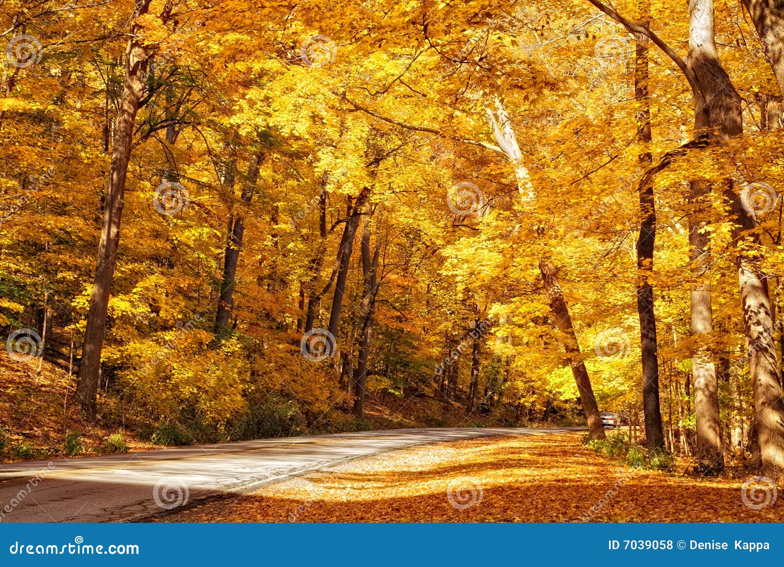 Golden Autumn Trees stock photo. Image of glowing, park - 7039058