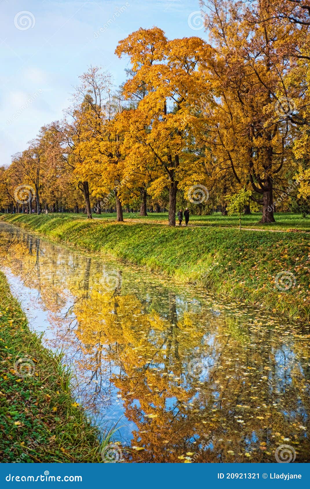Golden Autumn Trees with Reflection in Water Stock Image - Image of ...