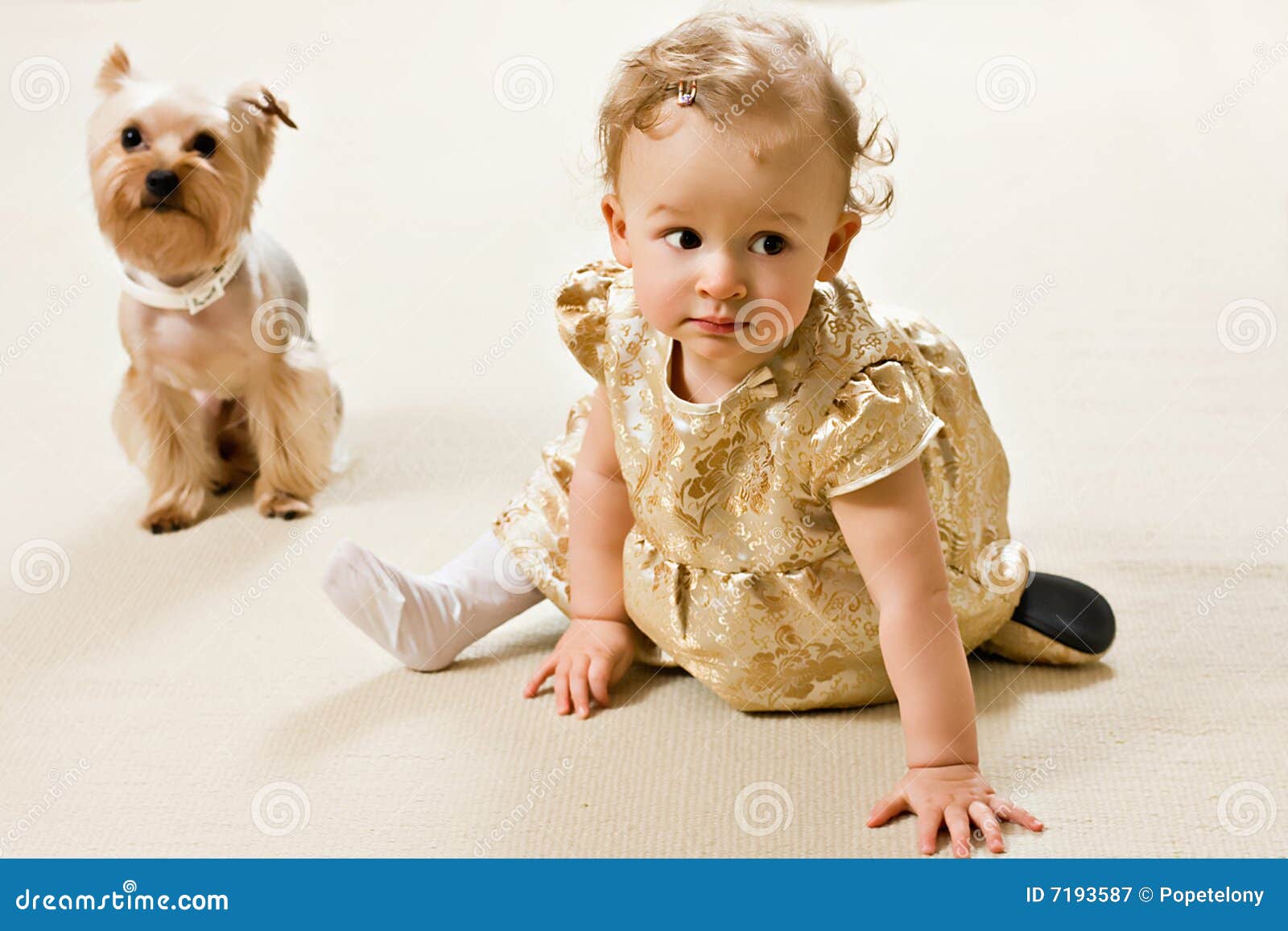 Golden baby stock image. Image of home, isolated, happy - 7193587