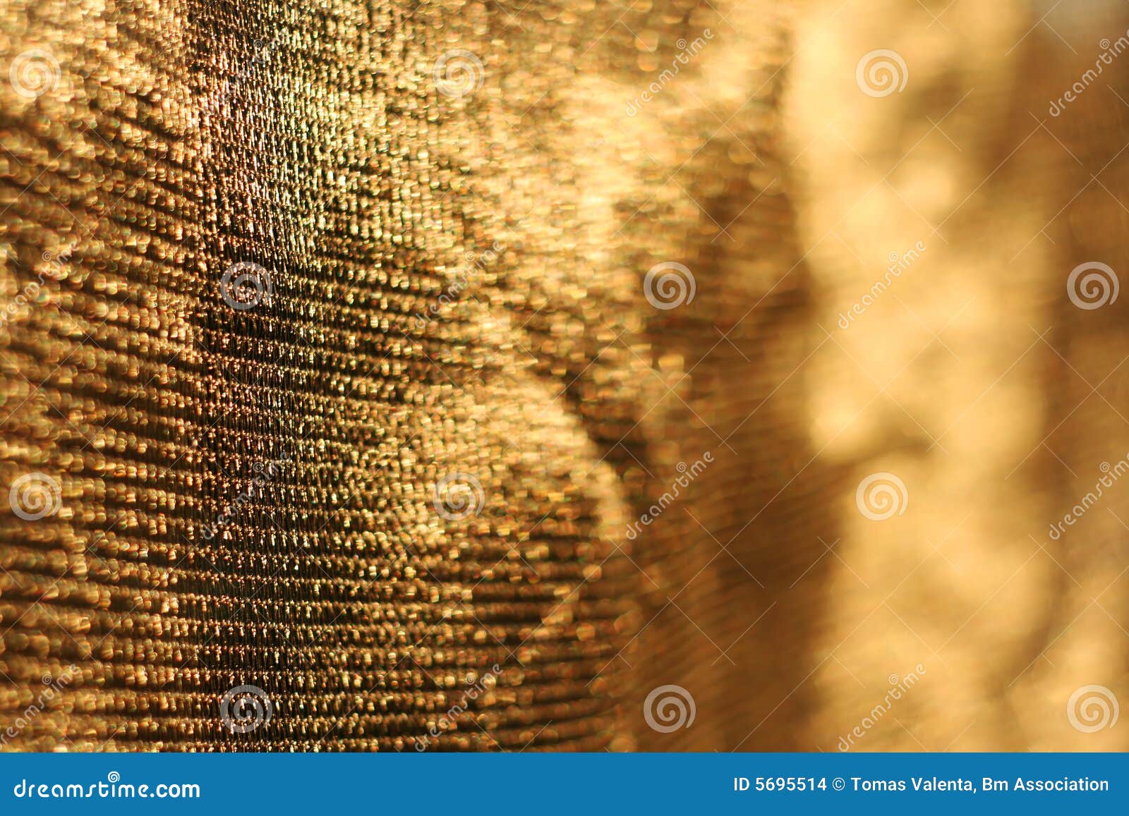 Golden background of net stock photo. Image of textured - 5695514