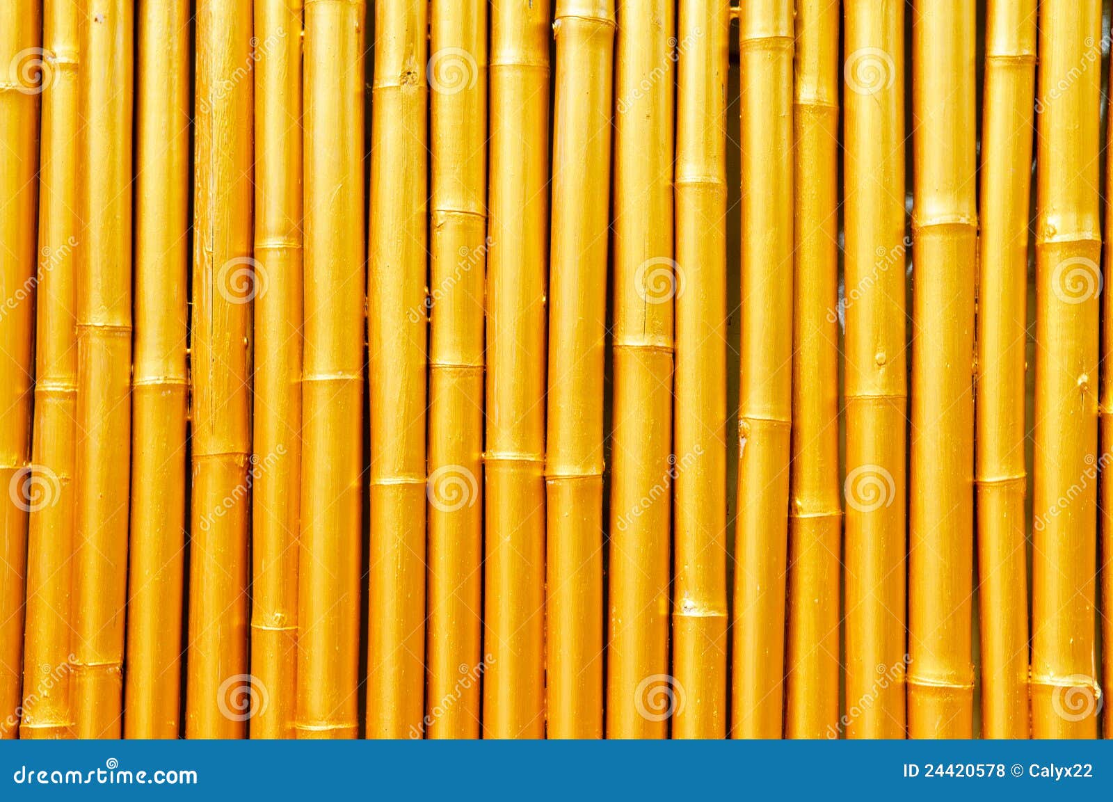 Golden Bamboo Background Stock Photography | CartoonDealer.com #153149756