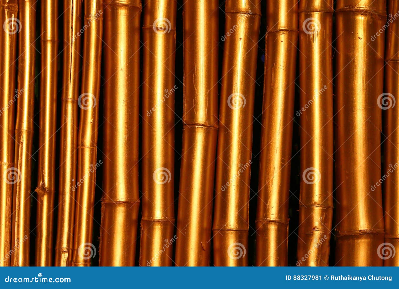 Golden bamboo stock image. Image of golden, tree, pattern - 88327981