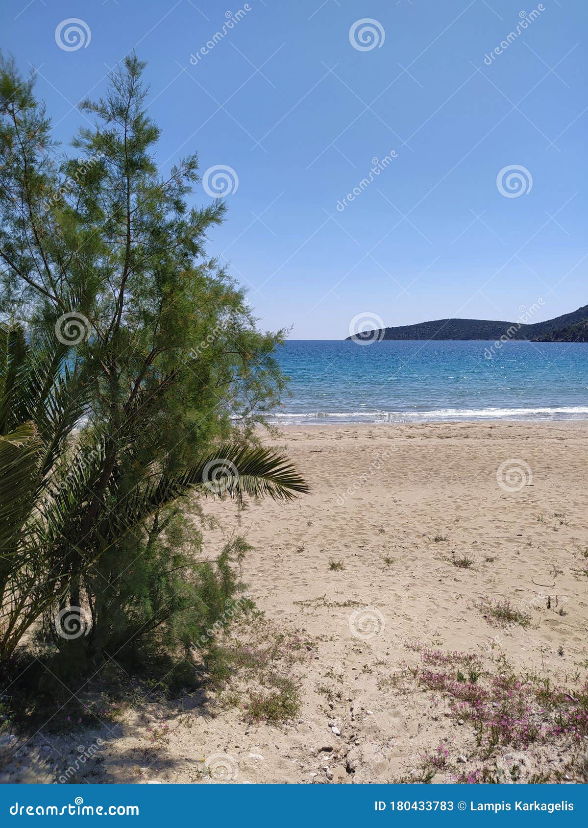 Golden beach tolo greece stock image. Image of plant - 180433783